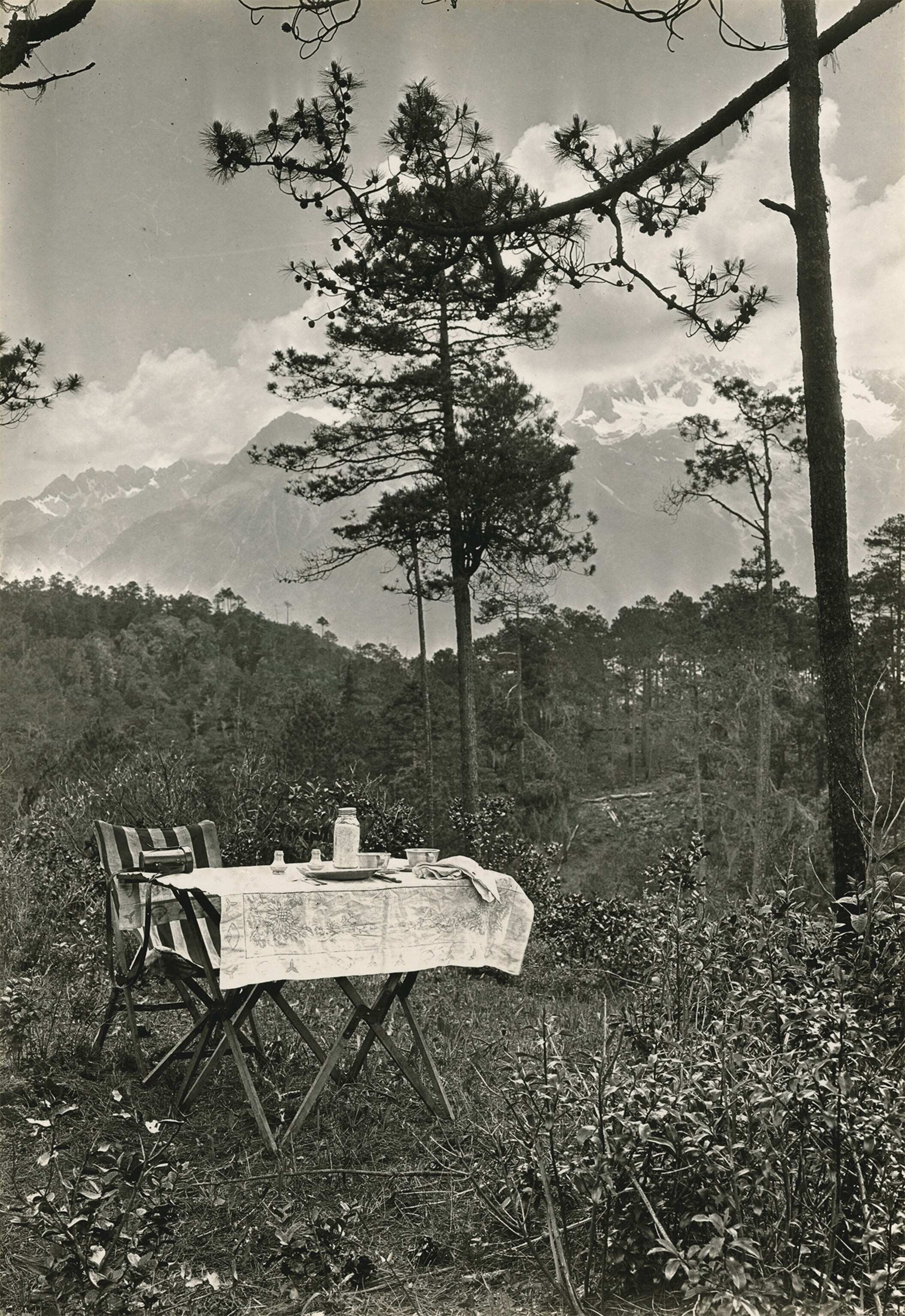 Pictures: Nice Day for a Picnic—a Century of Outdoor Eating Around the ...