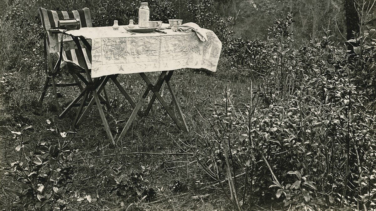 Pictures: Nice Day for a Picnic—a Century of Outdoor Eating Around the ...