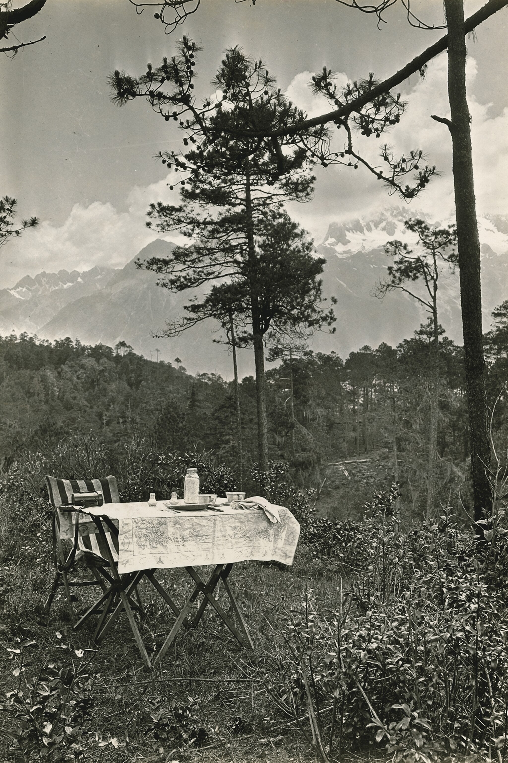 Pictures: Nice Day for a Picnic—a Century of Outdoor Eating Around the ...