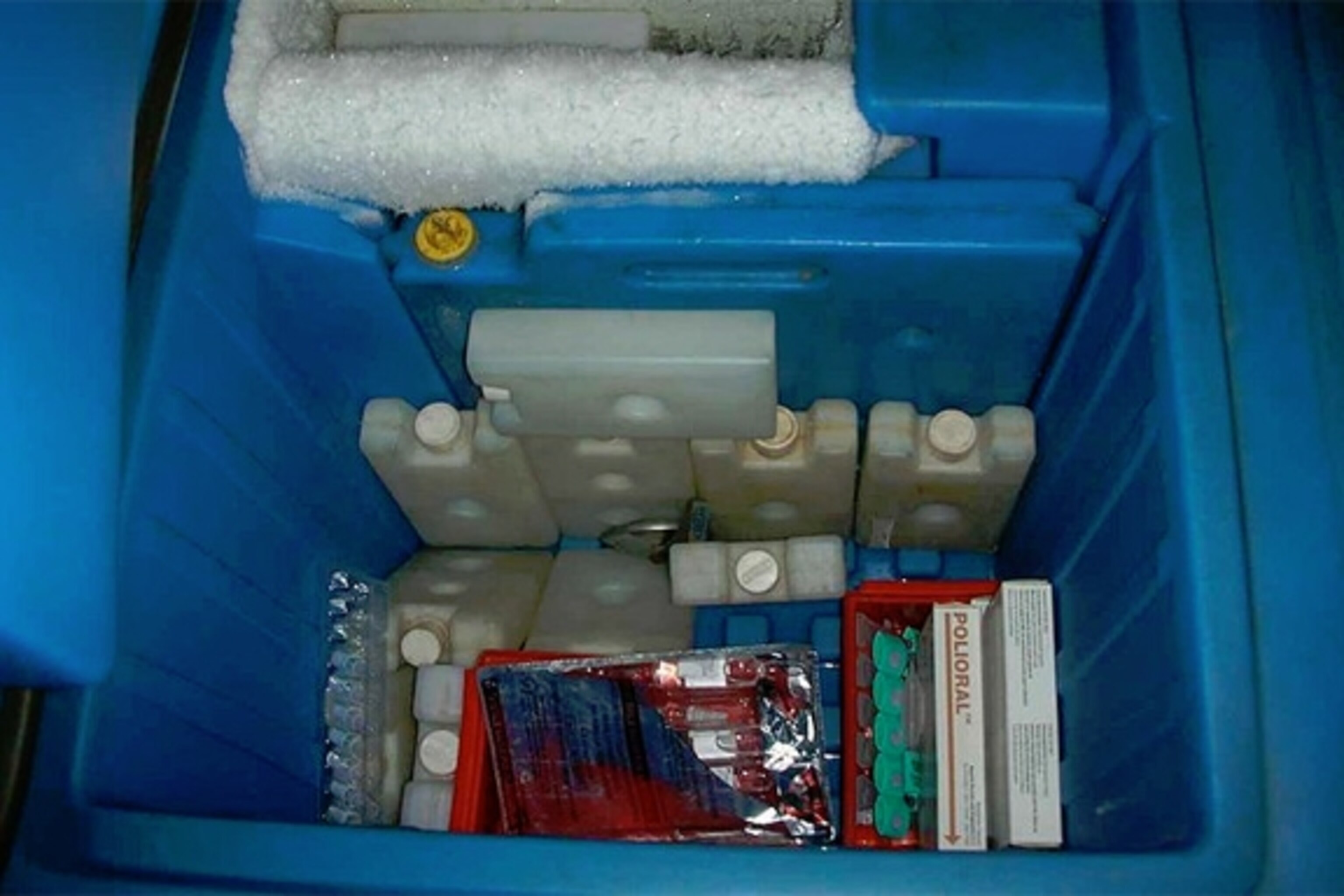 Silk cages preserve vaccines and antibiotics for months without ...