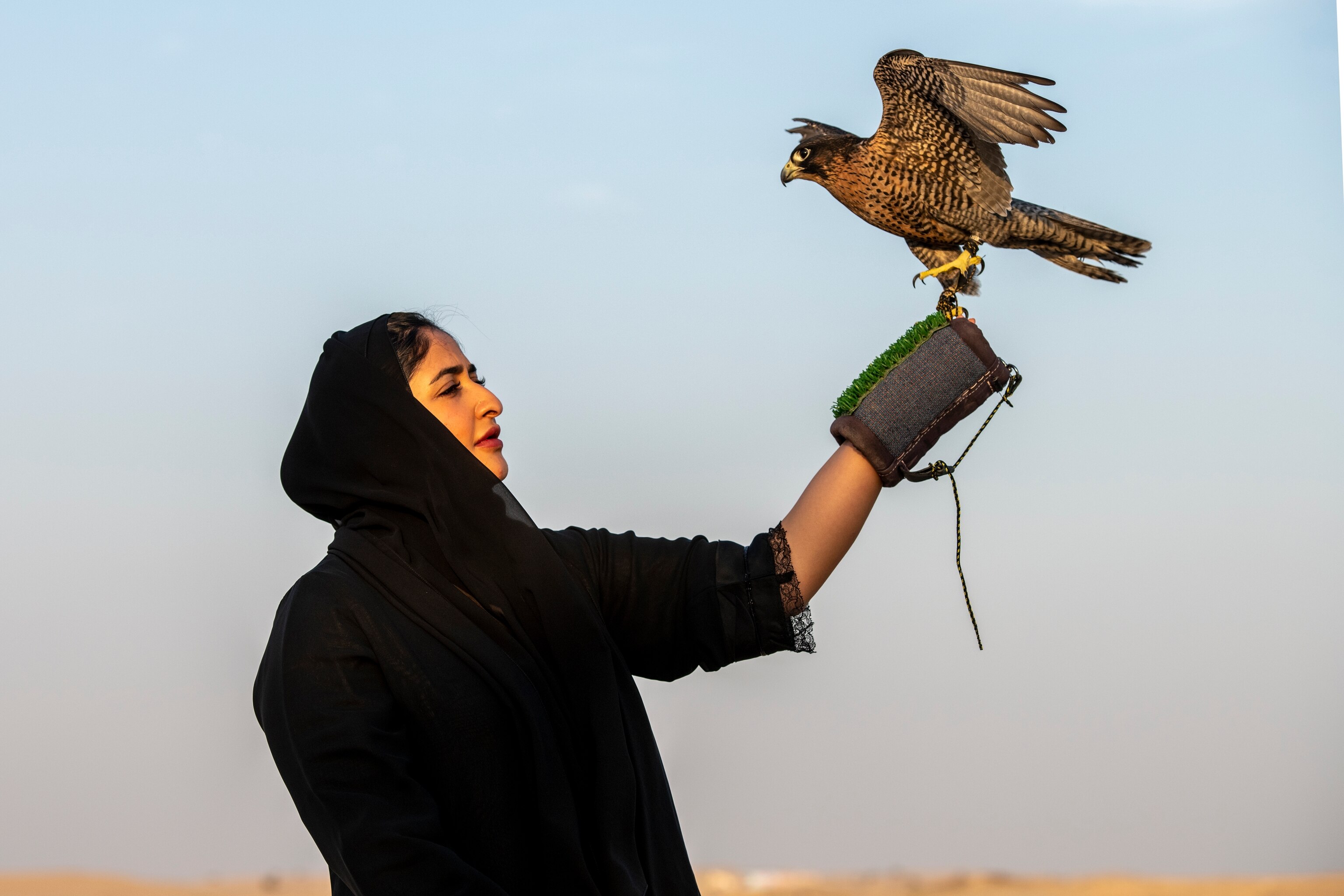 Where falconry is a storied sport, these women are writing a new chapter