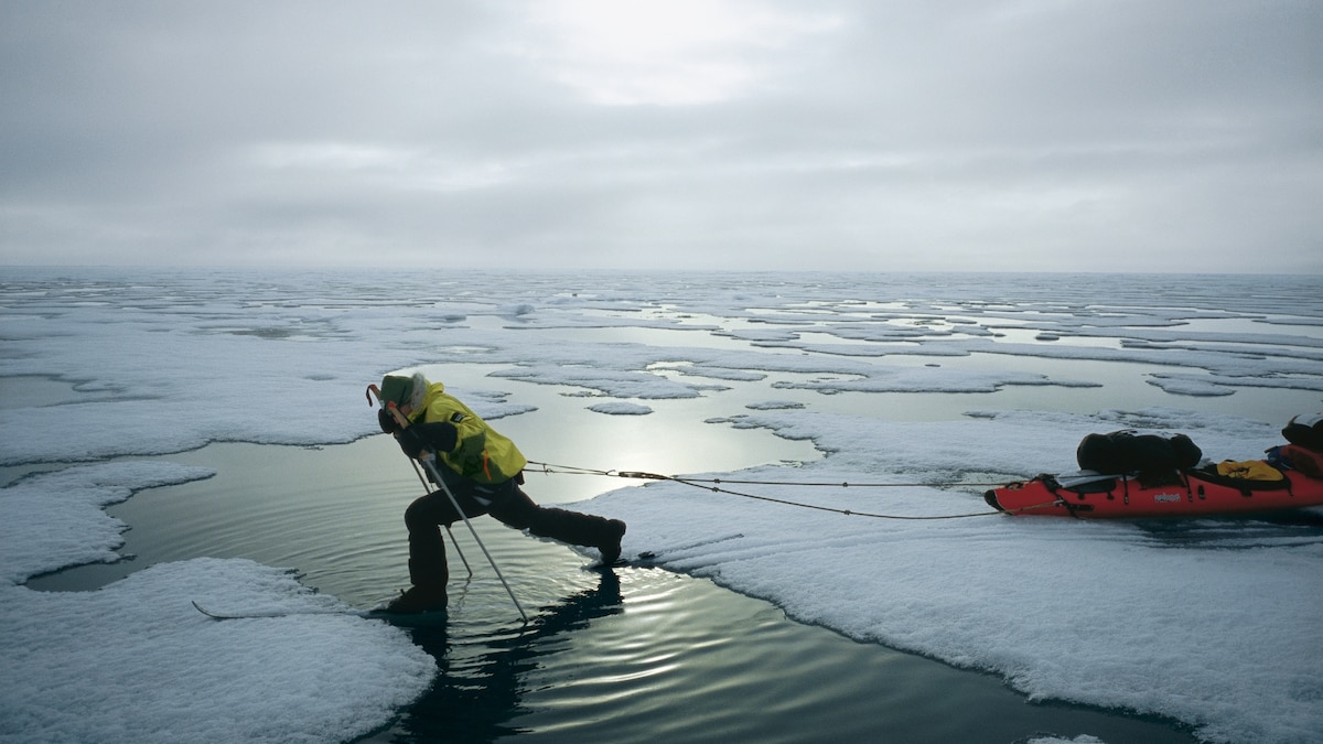 Has the Last Human Trekked to the North Pole? | National Geographic