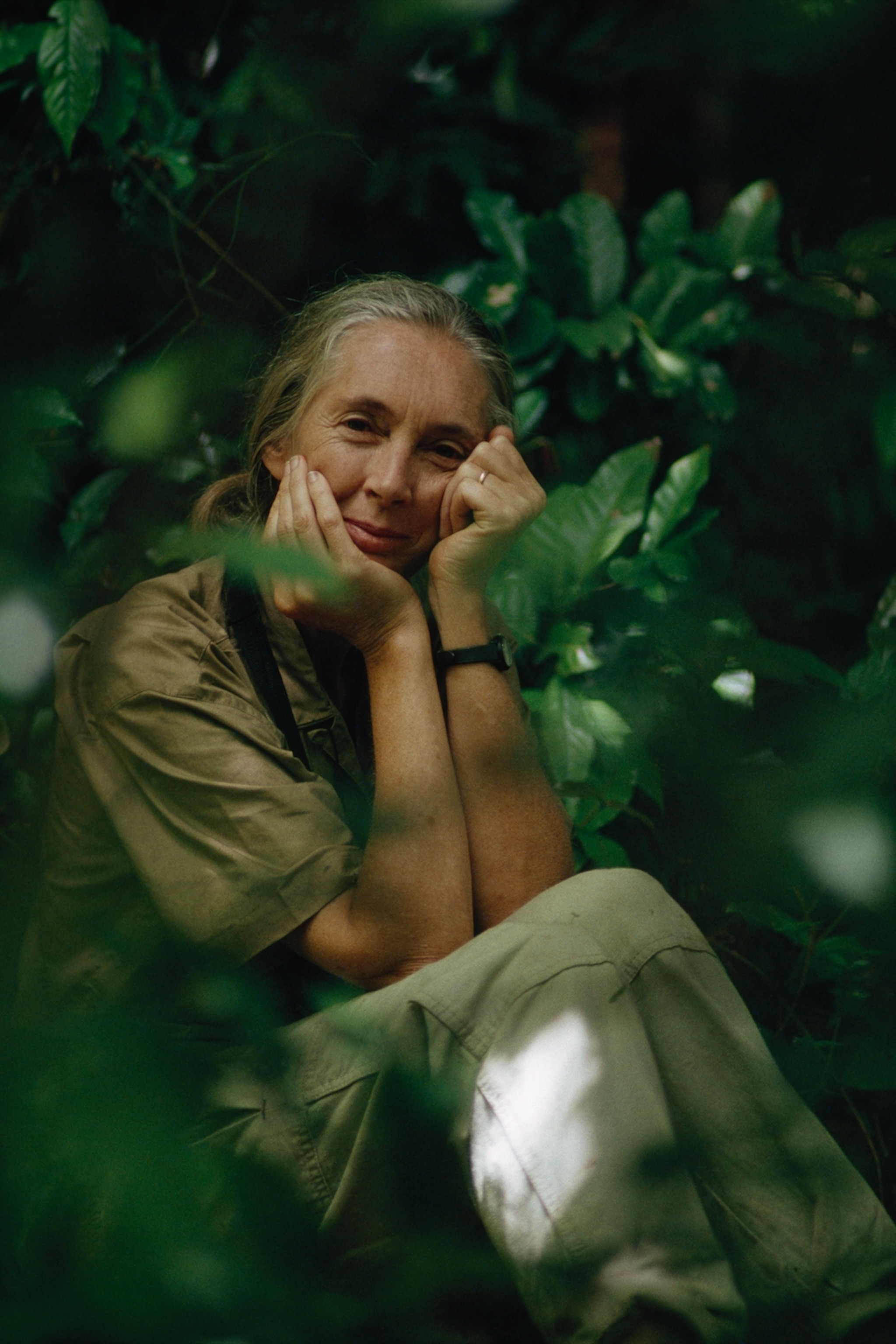 'Hope is a thing requiring action.' Jane Goodall on pandemic lessons ...