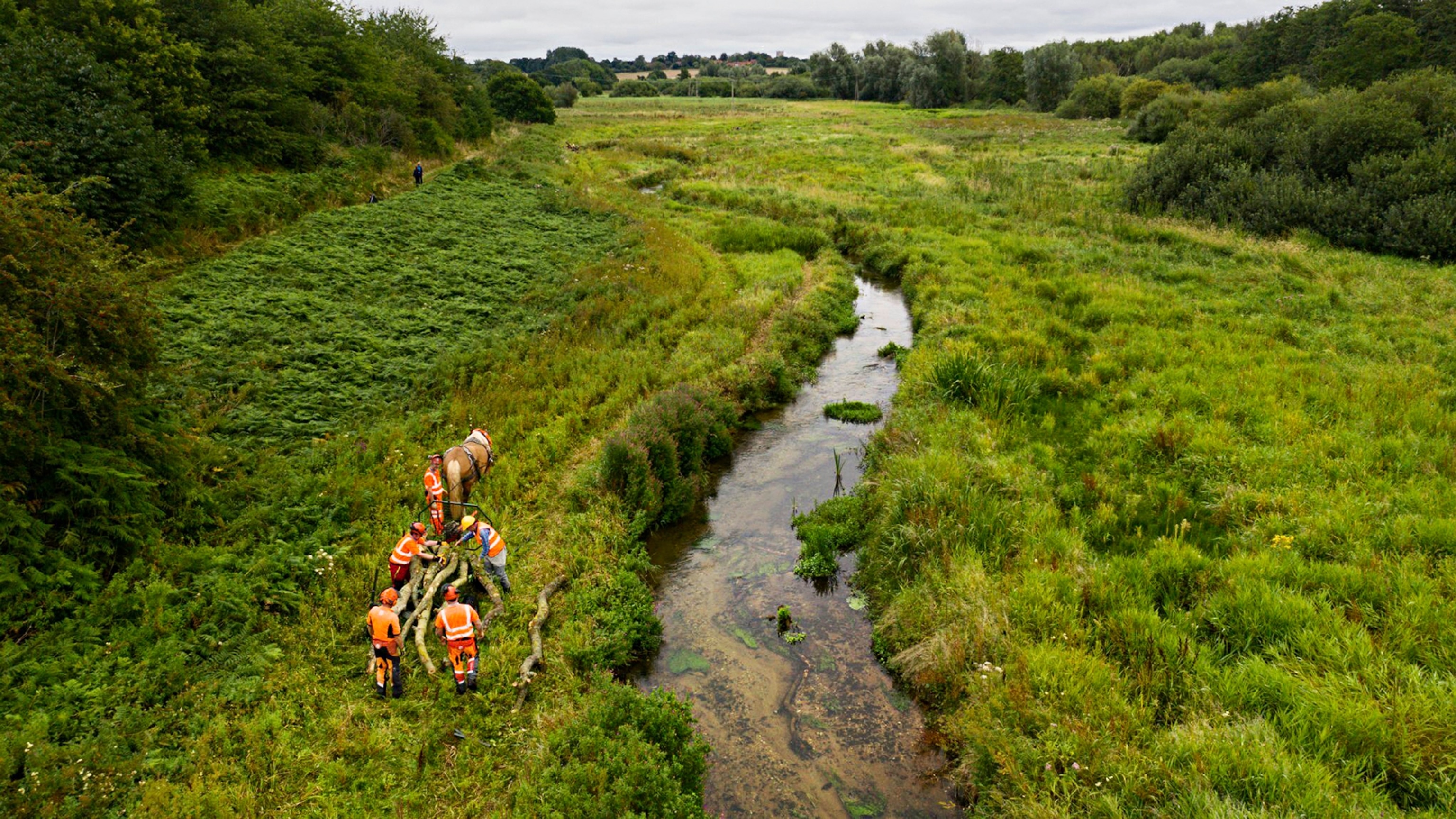 England’s chalk streams were millions of years in the making. Can they ...