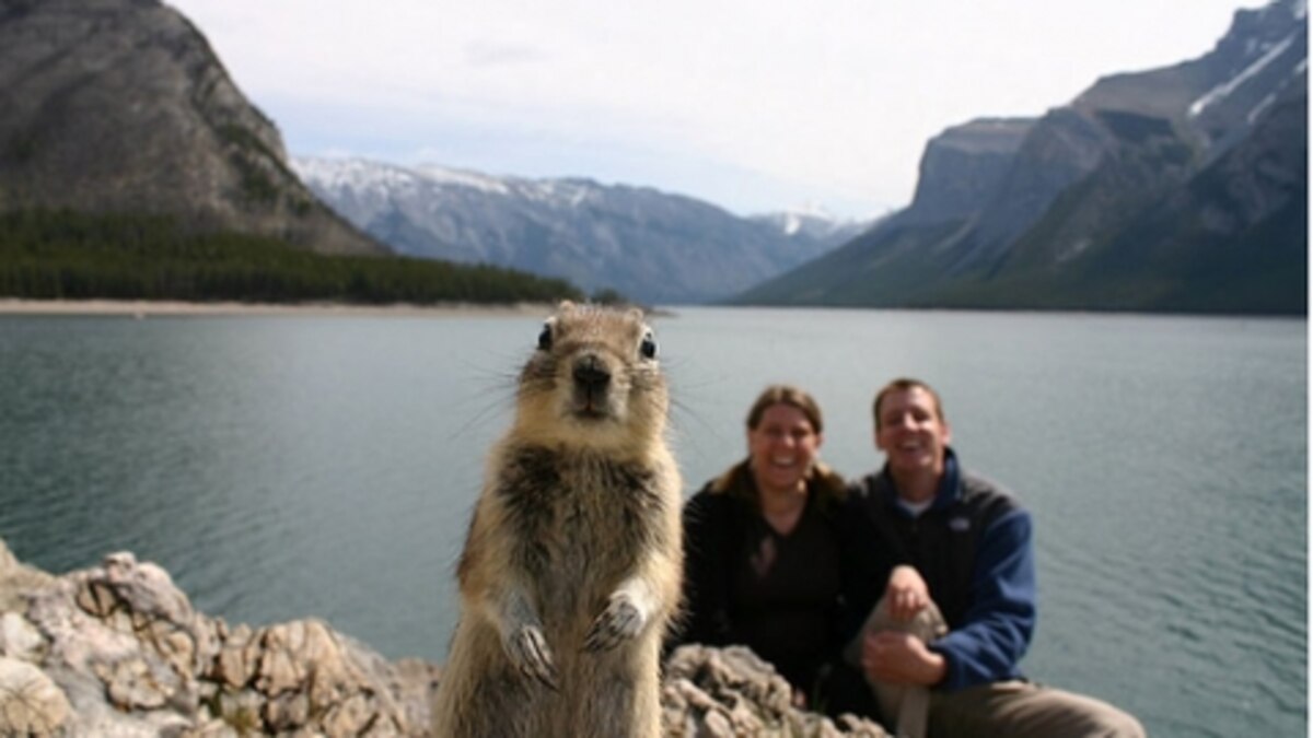 Cheeky Squirrel Photo Crasher | National Geographic
