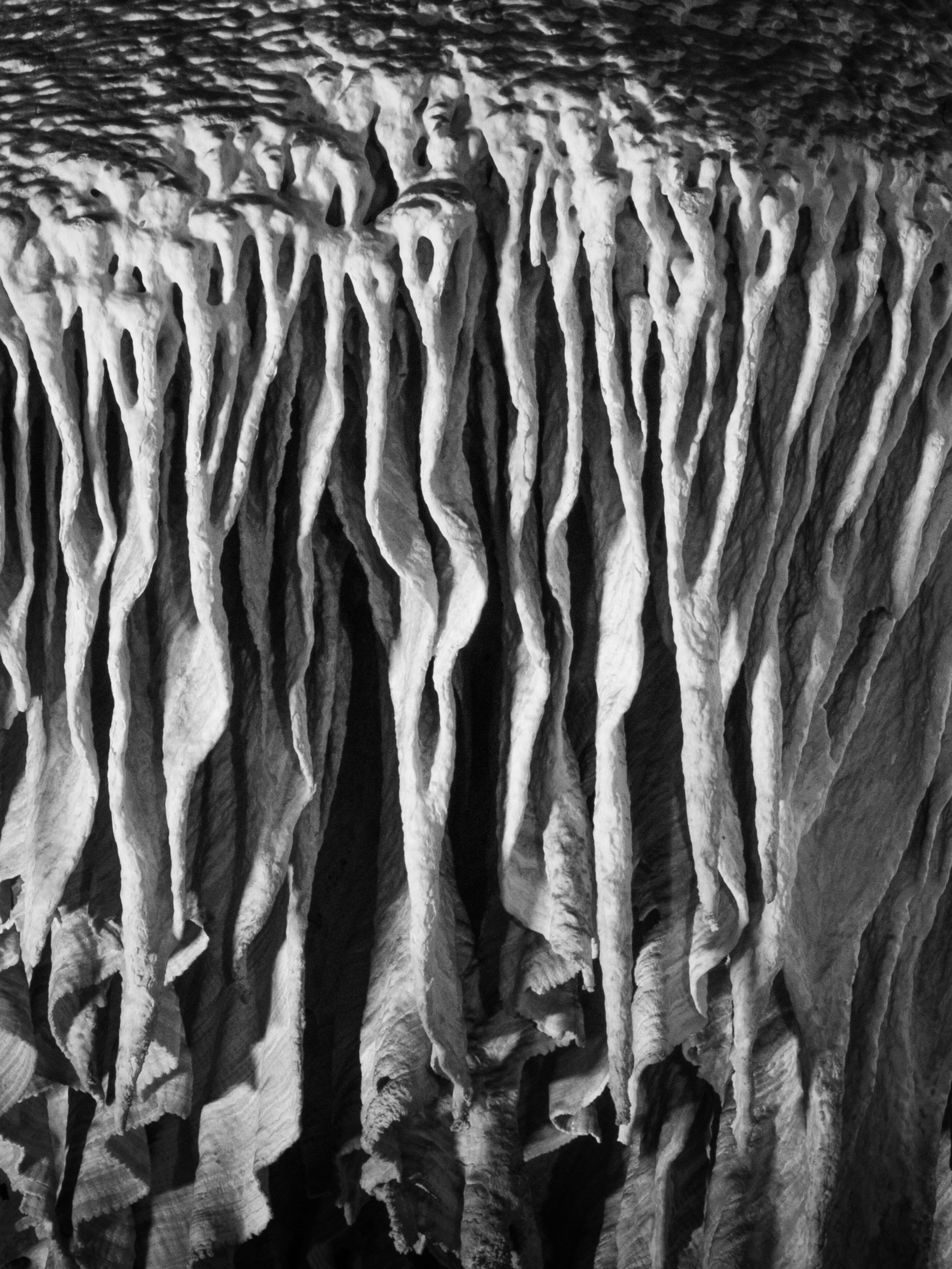 Caves, Information and Facts | National Geographic