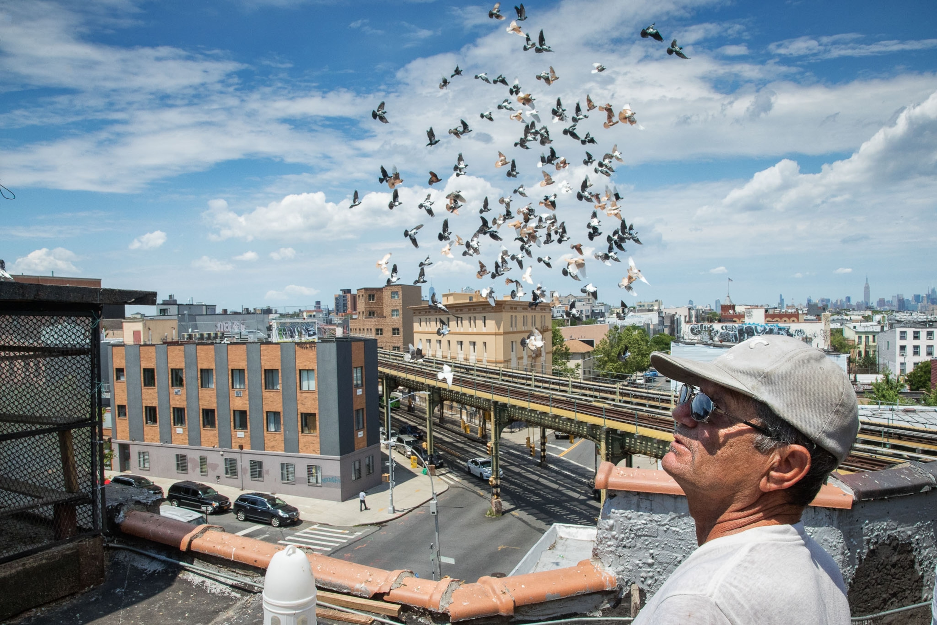 Striking Photos of the Pigeon Flocks of Brooklyn’s Rooftops