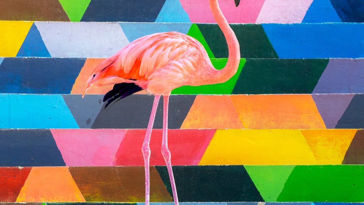 Can you fall in love with a photo? | National Geographic