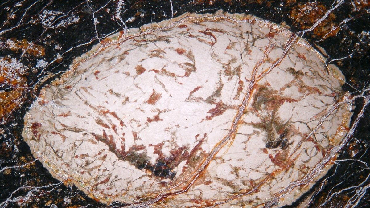 Space "Egg," Meteorite Yield All-New Minerals | National Geographic