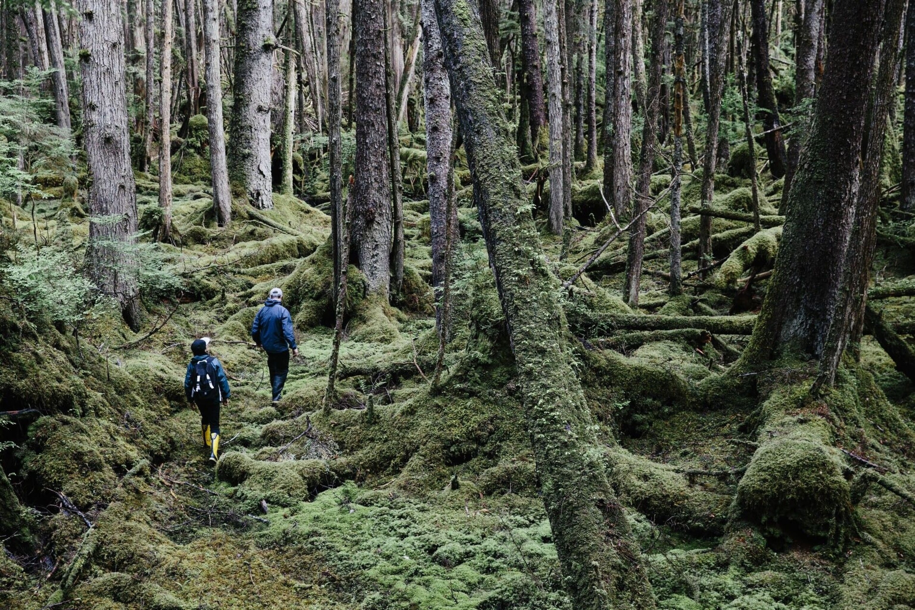 Transformative travel: 10 ways to find a happier you in the West Coast ...