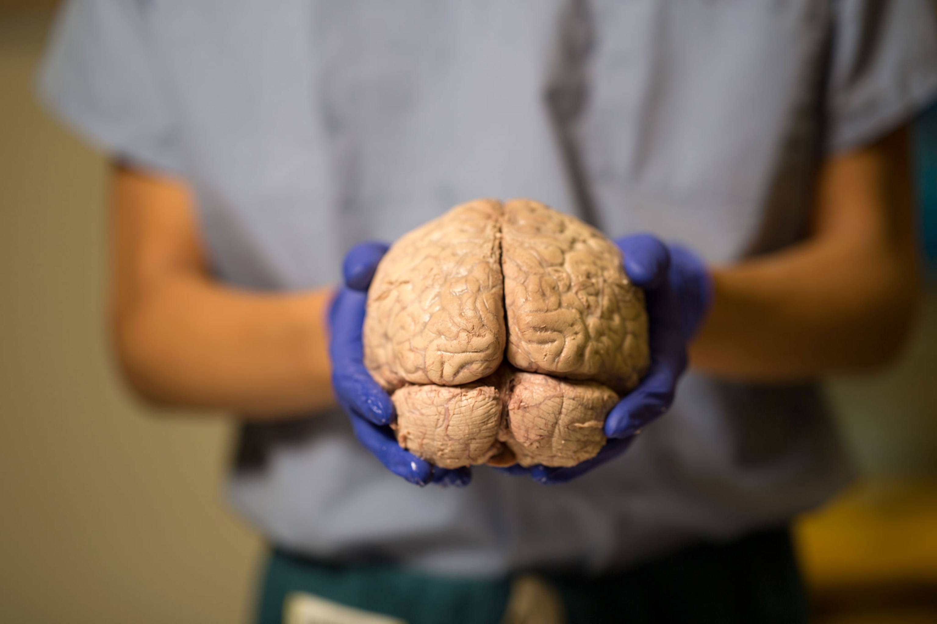 The Secret Lives of Cadavers