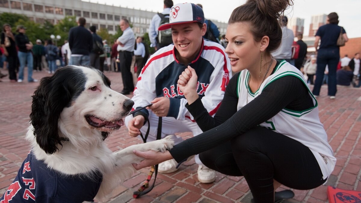 How Your Pet Can Influence Your Love Life | National Geographic