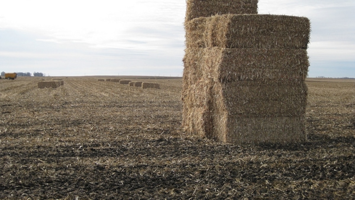 New Study on Corn Waste Biofuel’s Emissions: Worthy Topic, Flawed ...