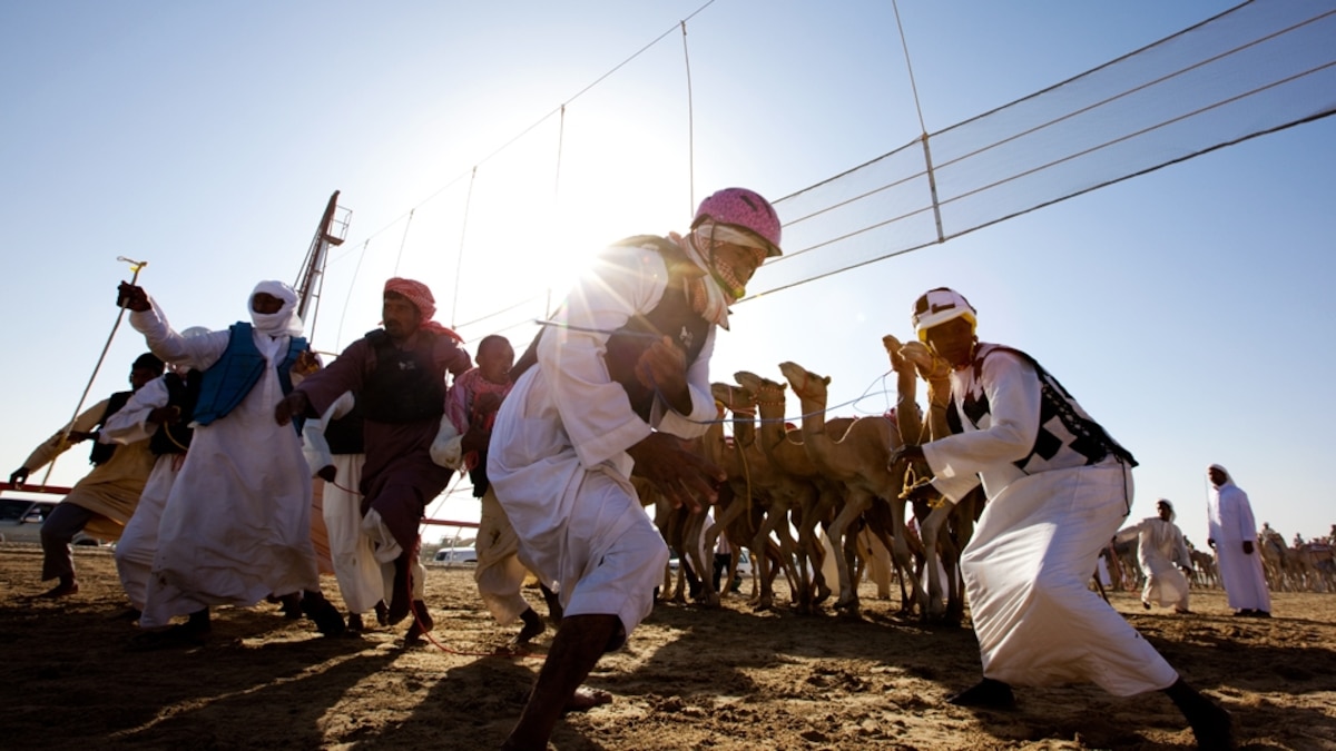Camel Racing in Abu Dhabi -- National Geographic | National Geographic