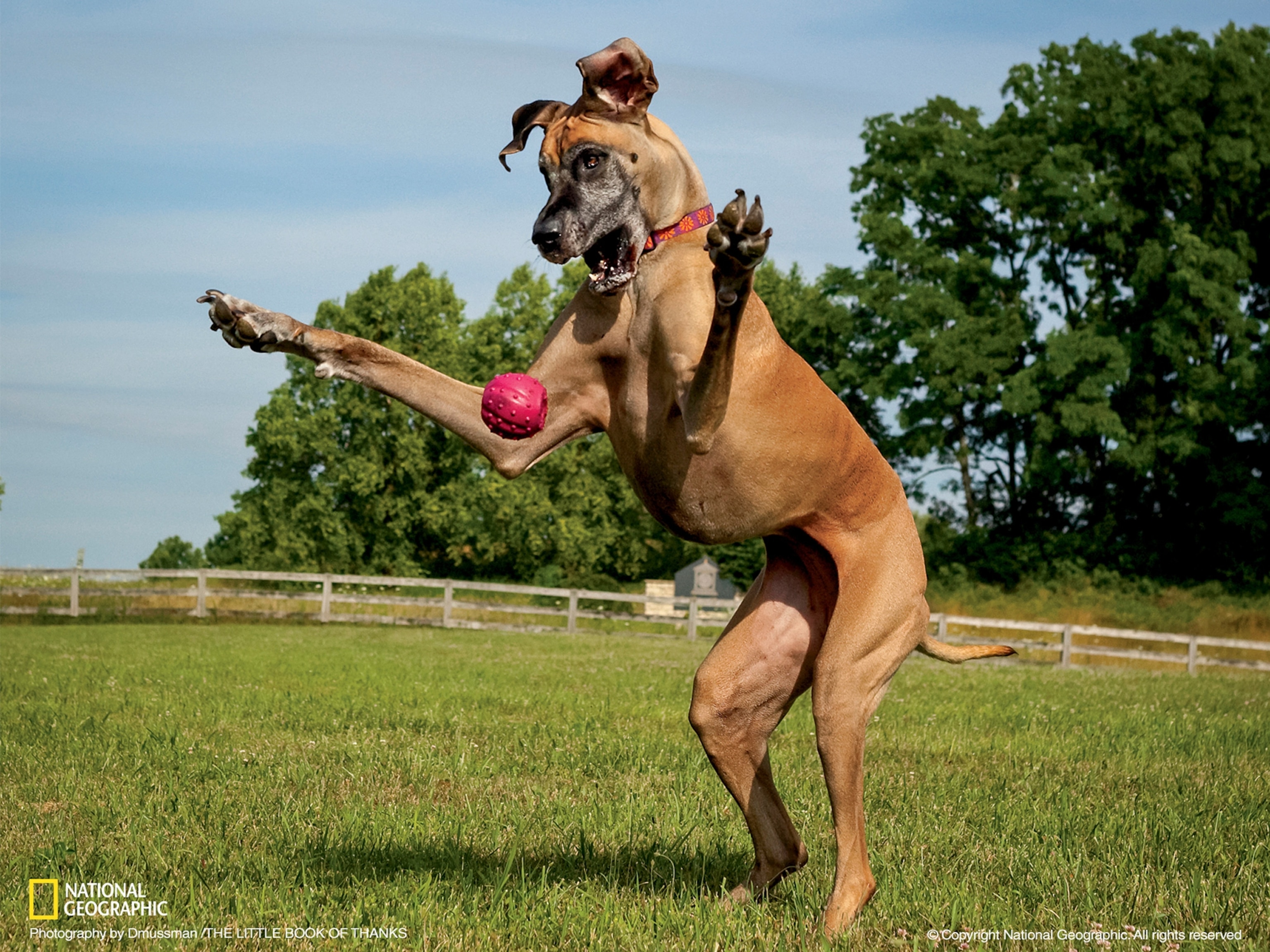 Photo Gallery — The Little Book of Thanks — National Geographic