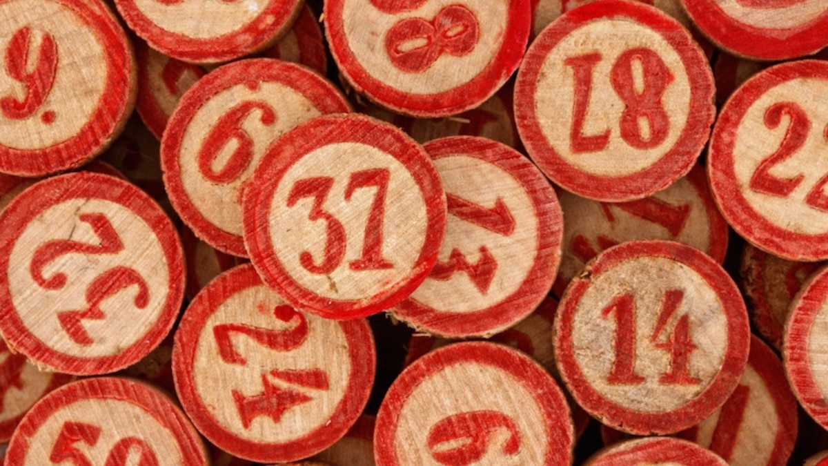 We Are Instant Number Crunchers | National Geographic