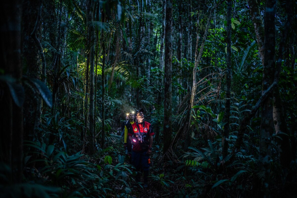 Scientists, Former FARC Rebels Explore Colombian Jungle Once Off-Limits ...