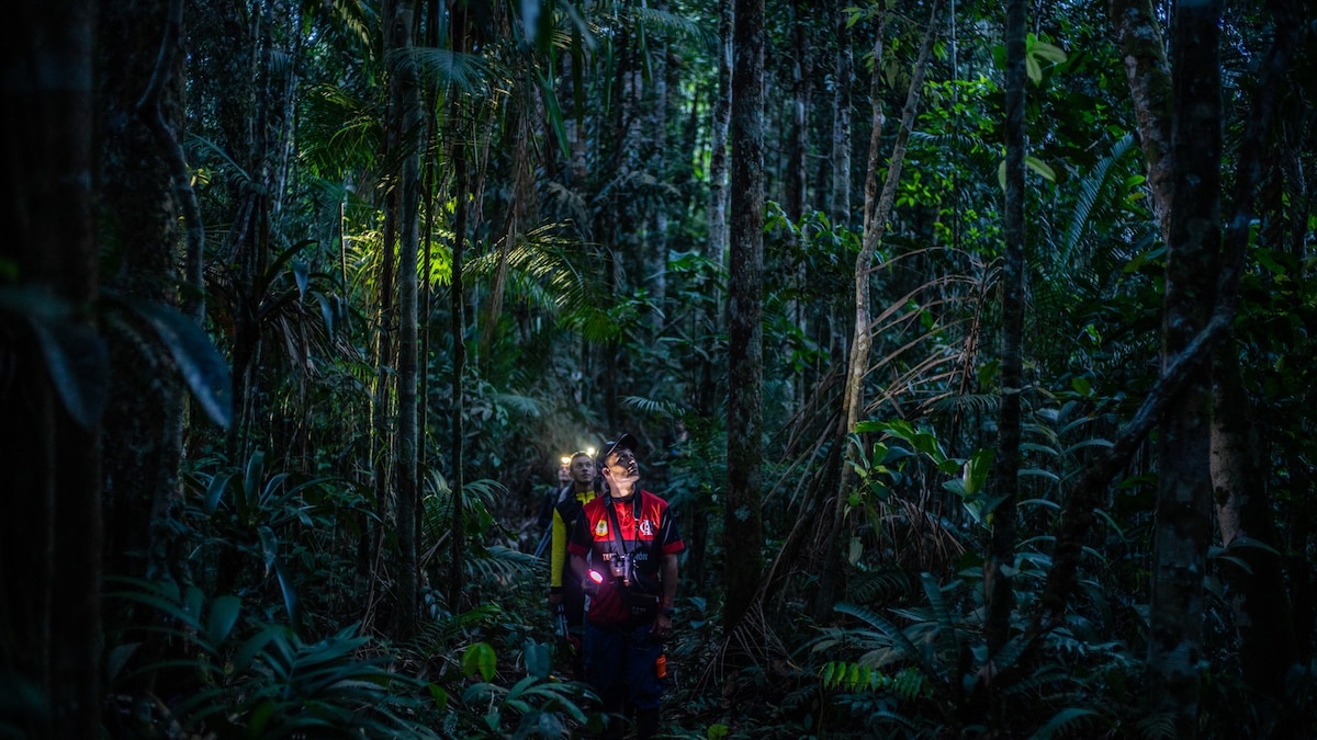 Scientists, Former FARC Rebels Explore Colombian Jungle Once Off-Limits ...