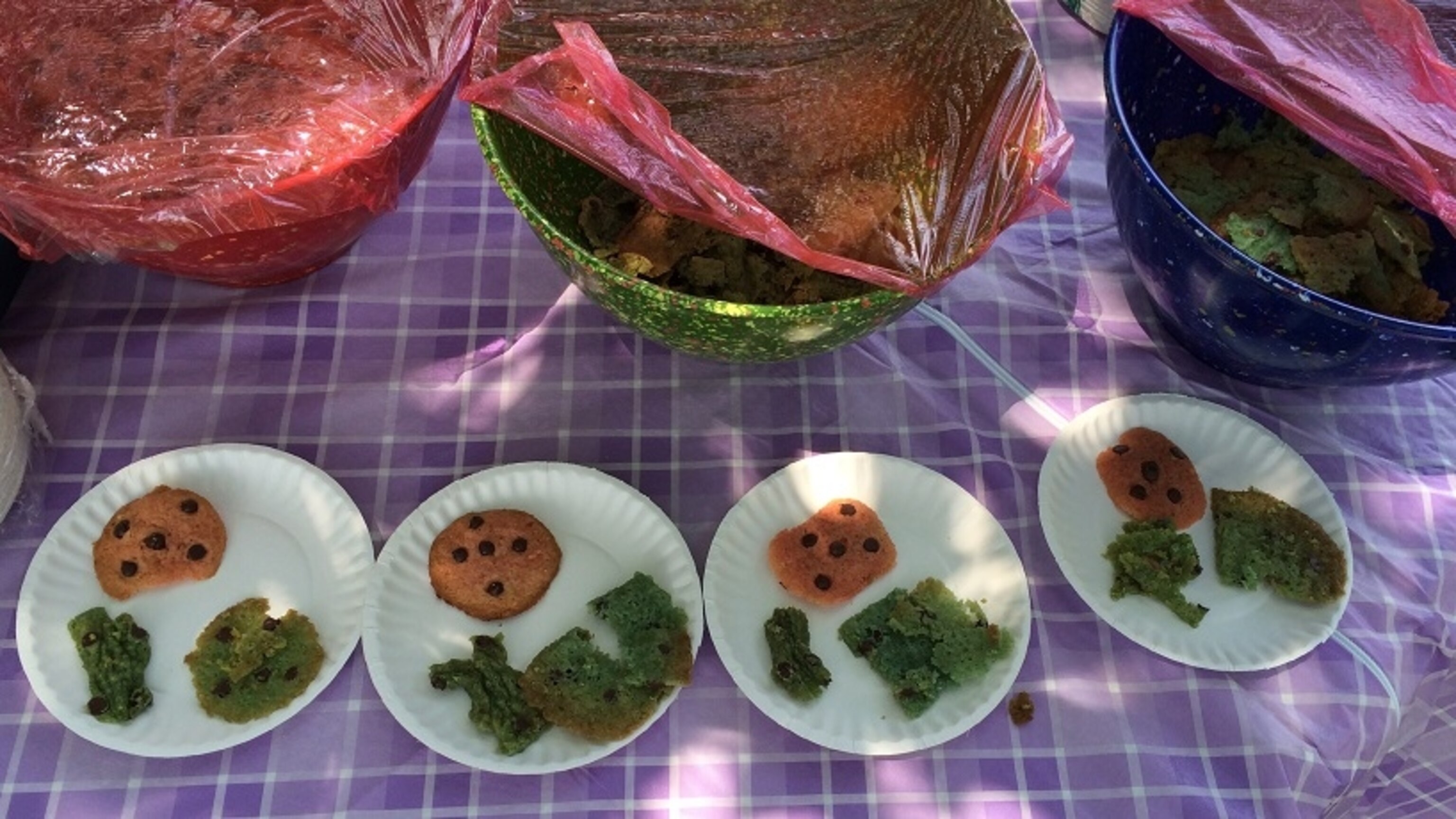 The Experimental Cookie: Teaching Kids Science Through Baking