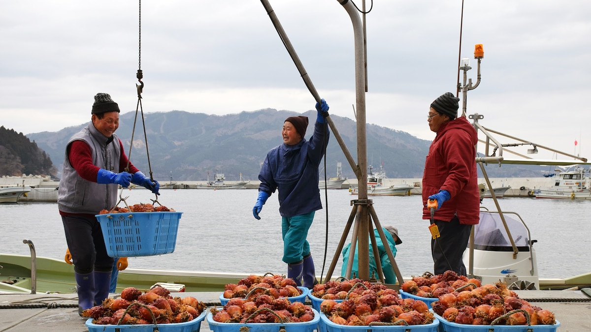 5 Years After Tsunami, Seafood, Sake, and Candy Come Back | National ...