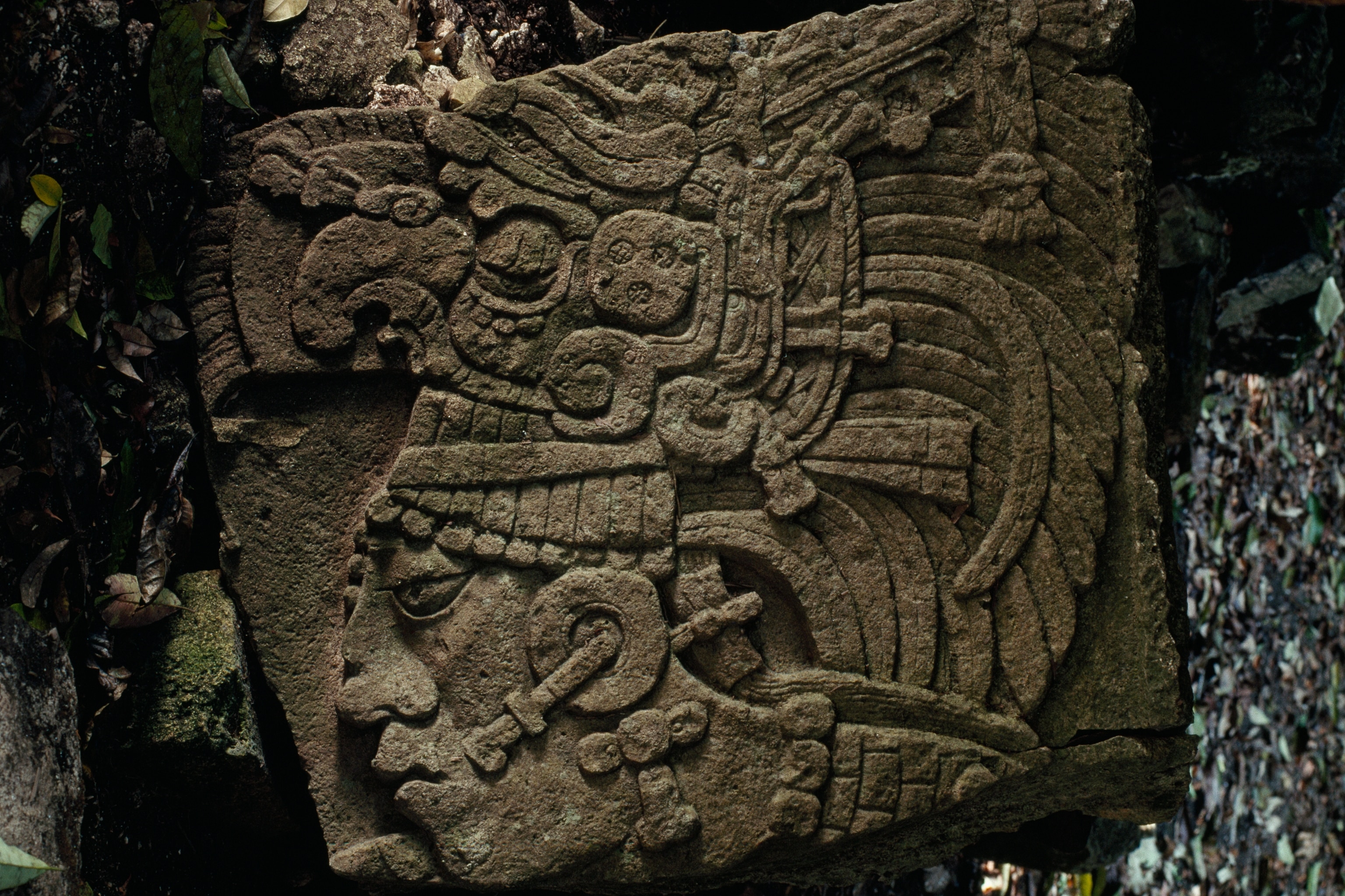 31 photos from the Nat Geo archives that capture our ever-changing world
