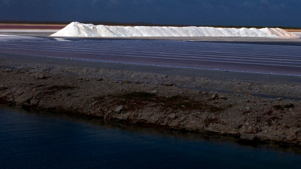 On the Island of Bonaire, Views of a Potentially Rich Renewable Energy ...