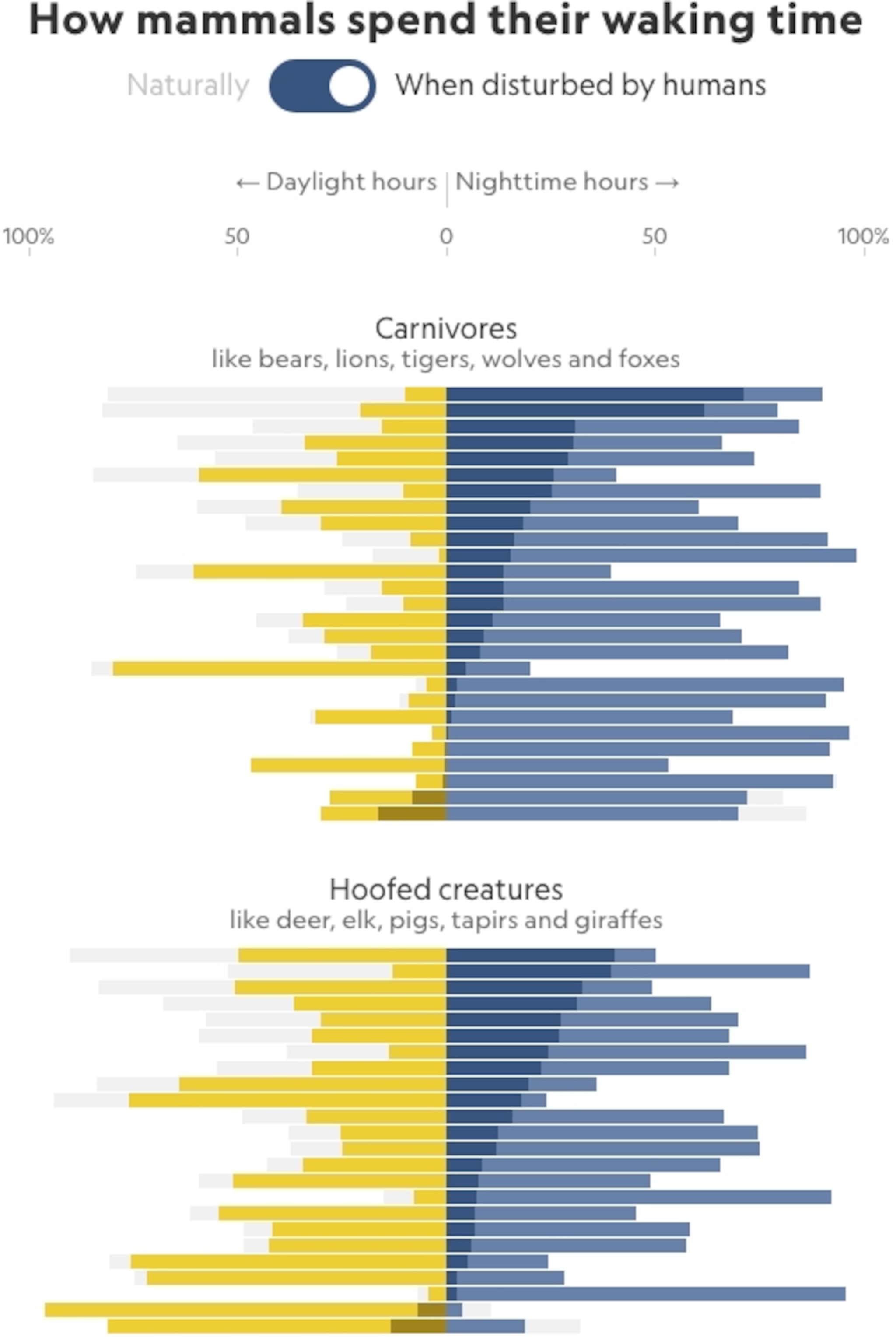 More Mammals Are Becoming Nocturnal Due to Human Activity