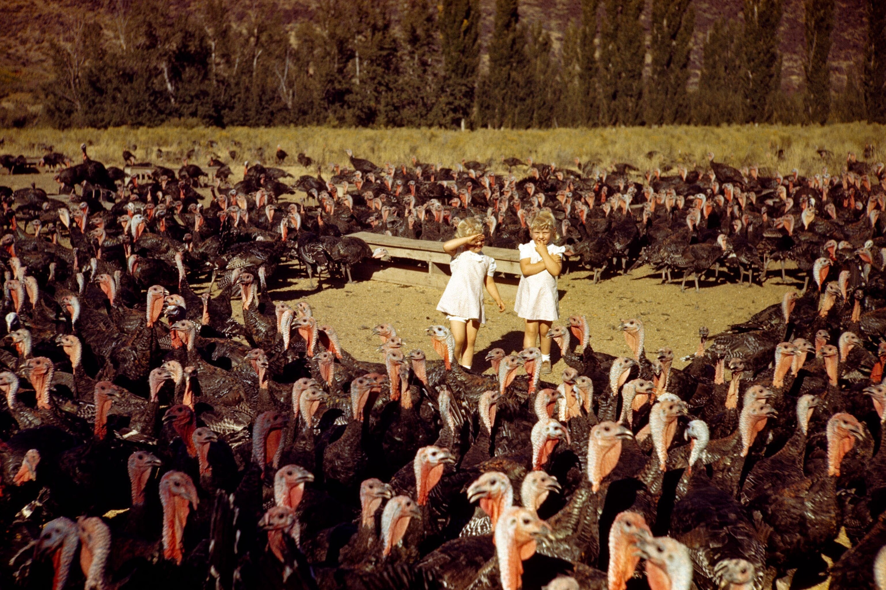 These 28 vintage Nat Geo photos are candid snapshots of the past