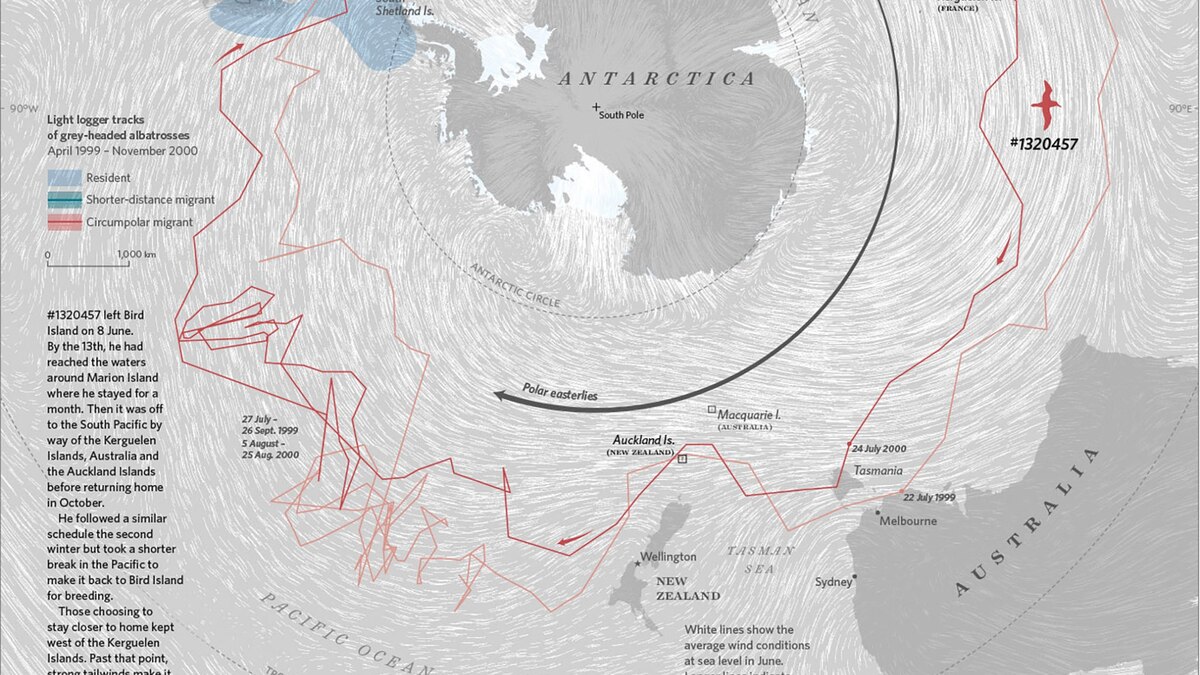 These Beautiful Maps Reveal the Secret Lives of Animals | National ...