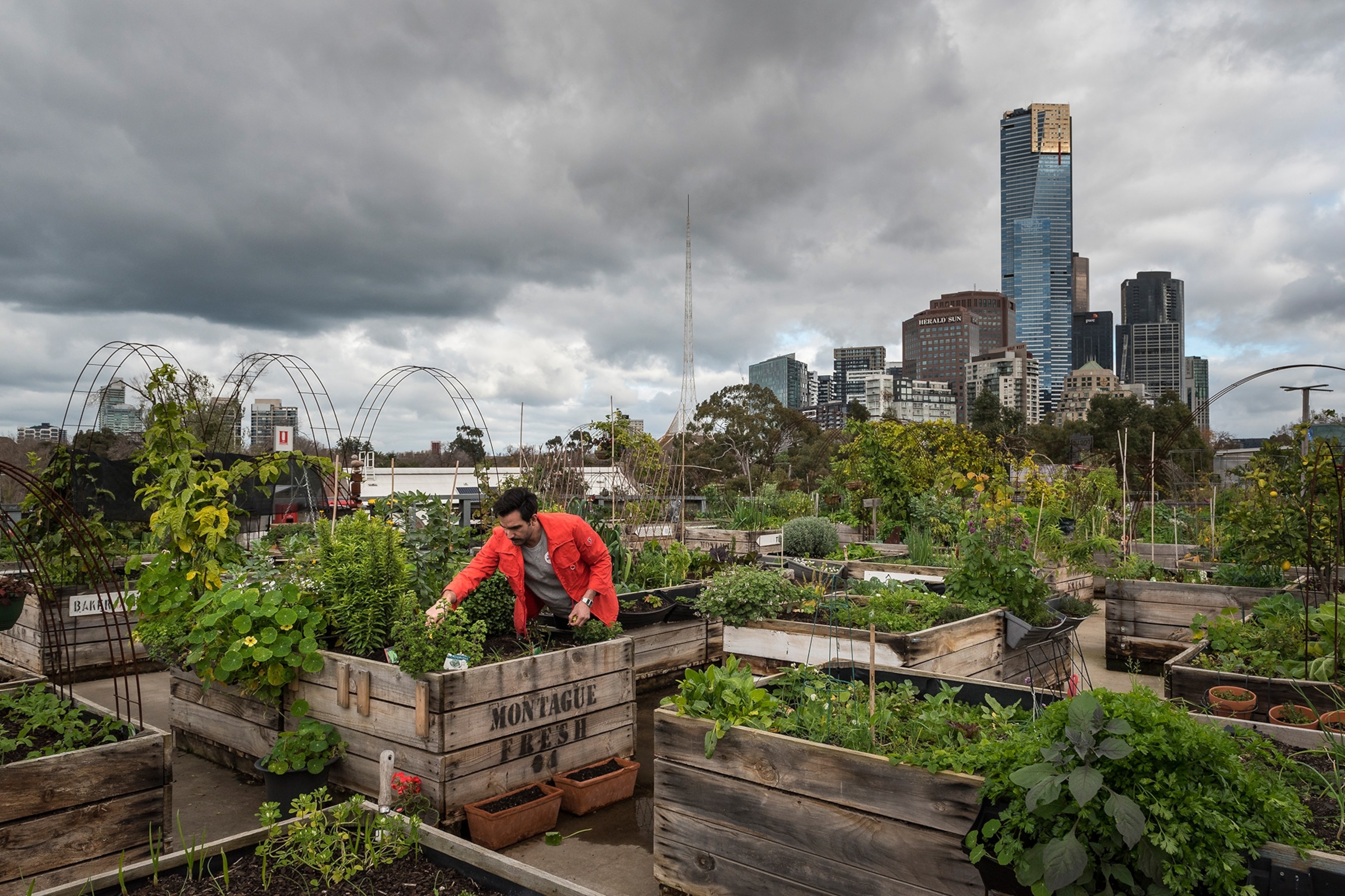 12 Photographers Show Us the Food Landscape in Their Cities