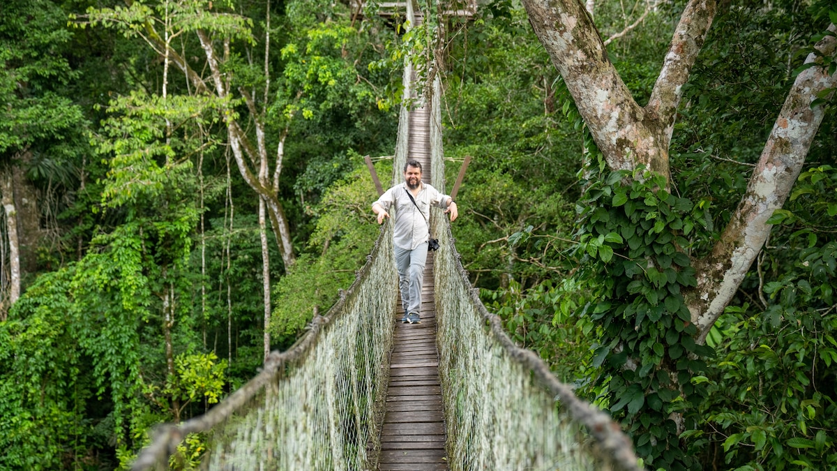 Uncovering resilience in the Amazon’s floodplain forests | National ...