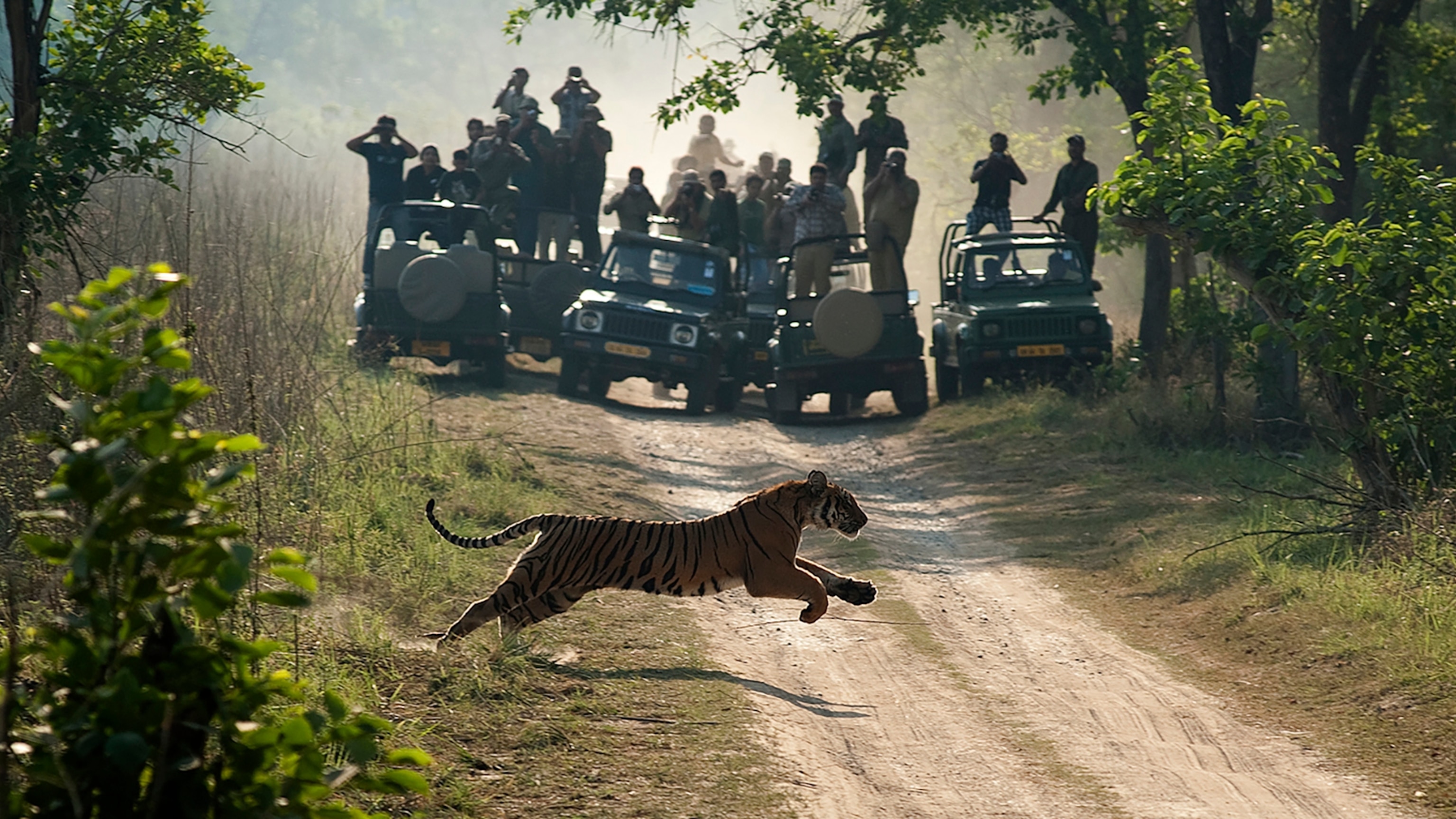 Take a Look at These Amazing Airborne Animals