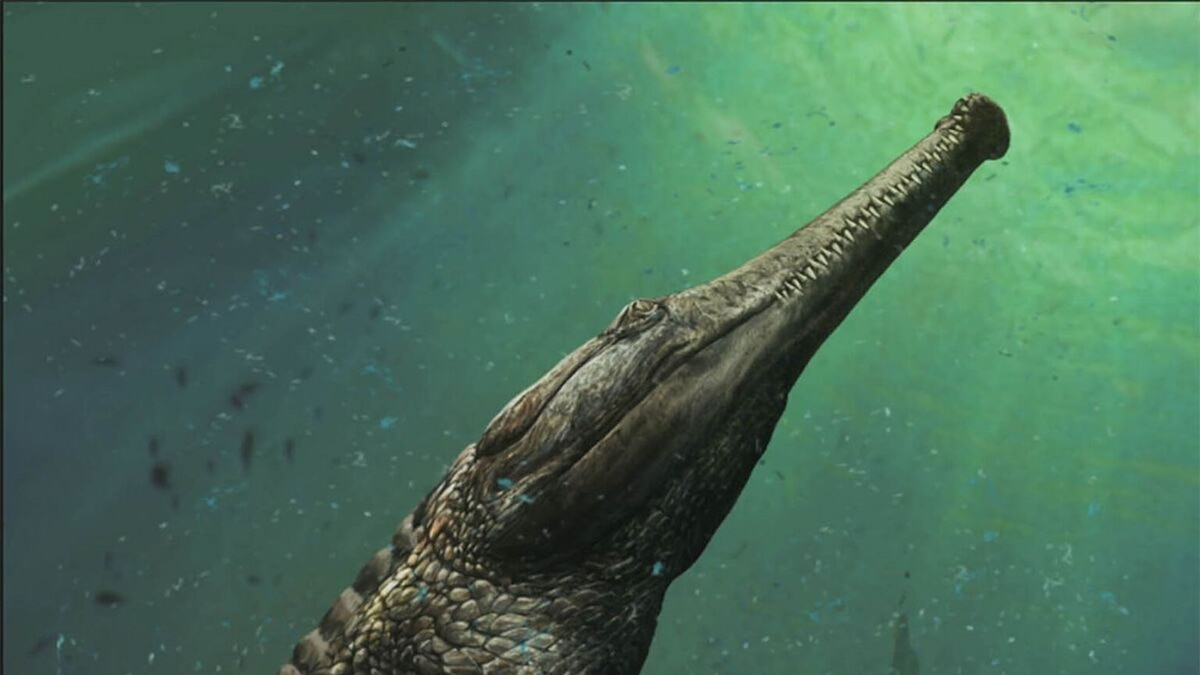 Monster-Size Marine Crocodile Discovered