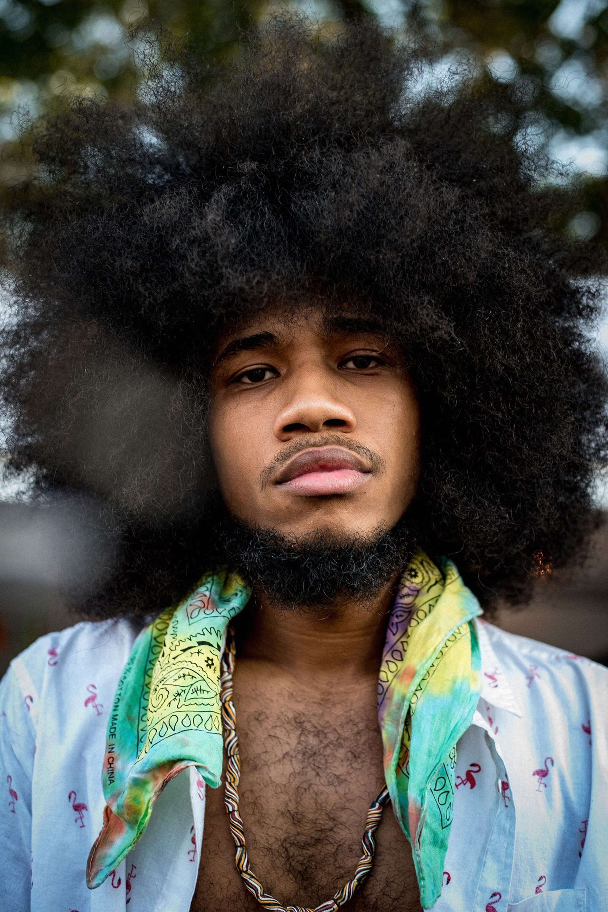 Pictures from Carnival in Bahia, Brazil to AfroPunk Fest in New York ...