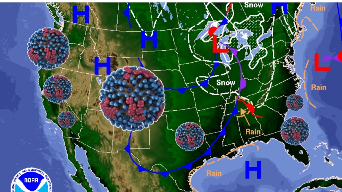 Forecasting the Future of Flu | National Geographic