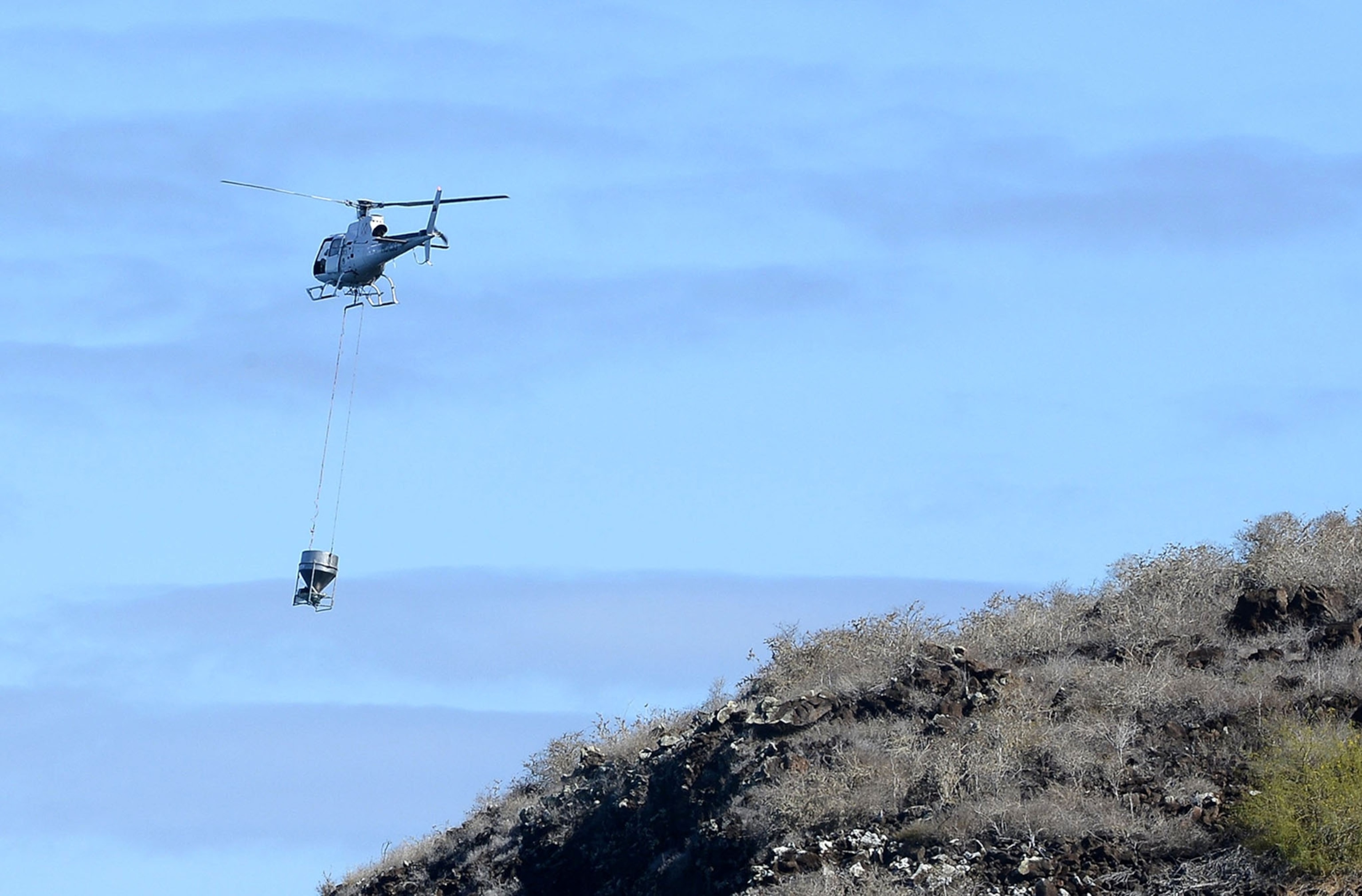 Heads Up to Invasive Pests: Poison Mice Are Falling From the Sky ...