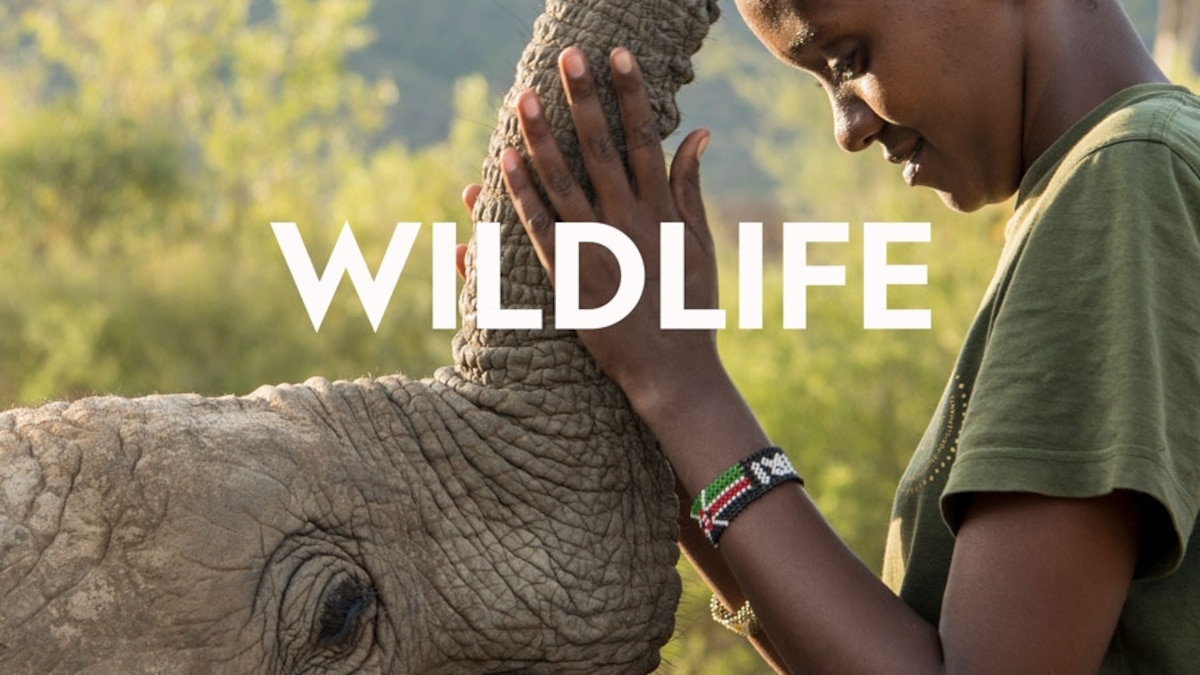 National Geographic Society | Impact | Wildlife | National Geographic
