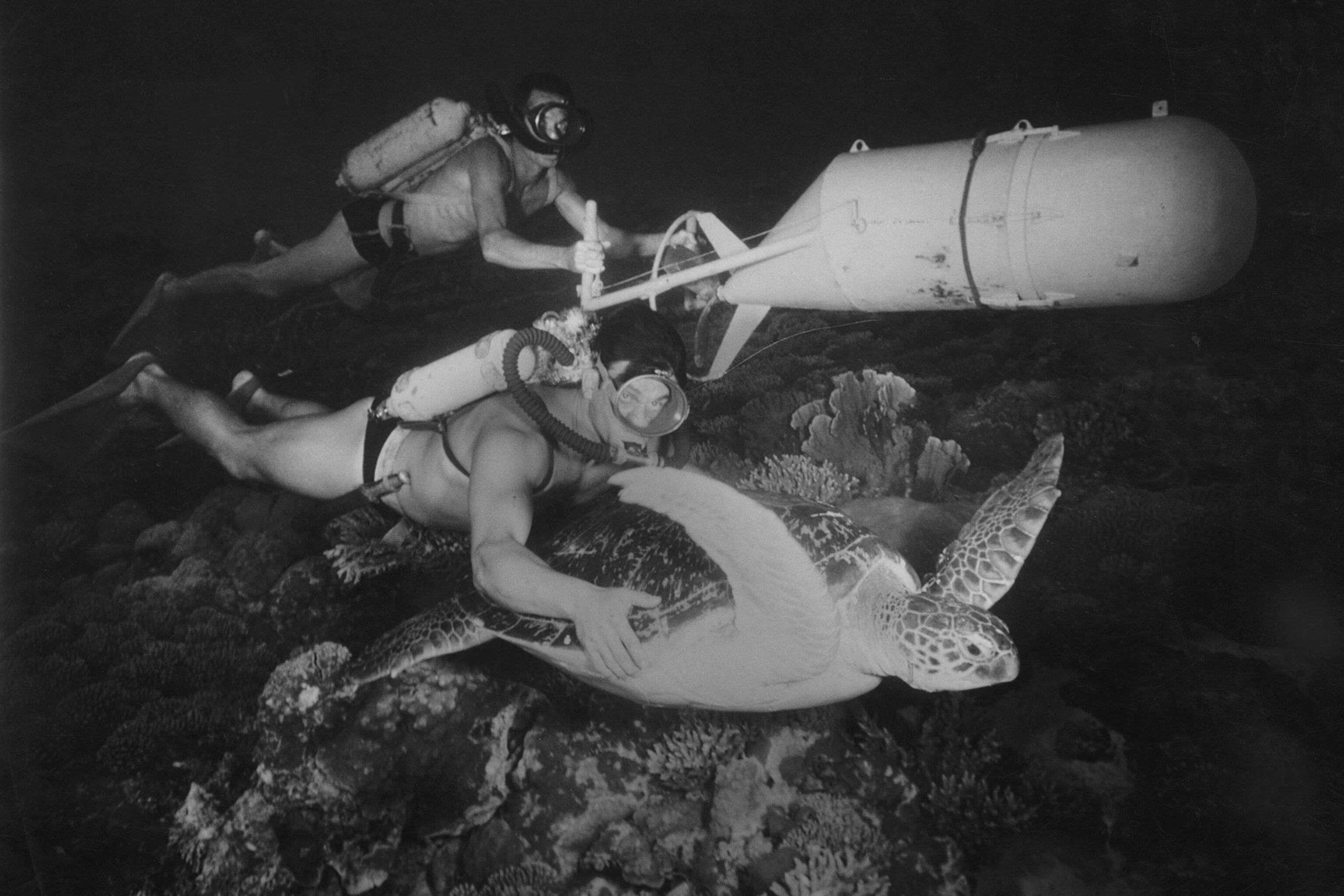 Dreamlike Photos of Pioneering Underwater Exploration
