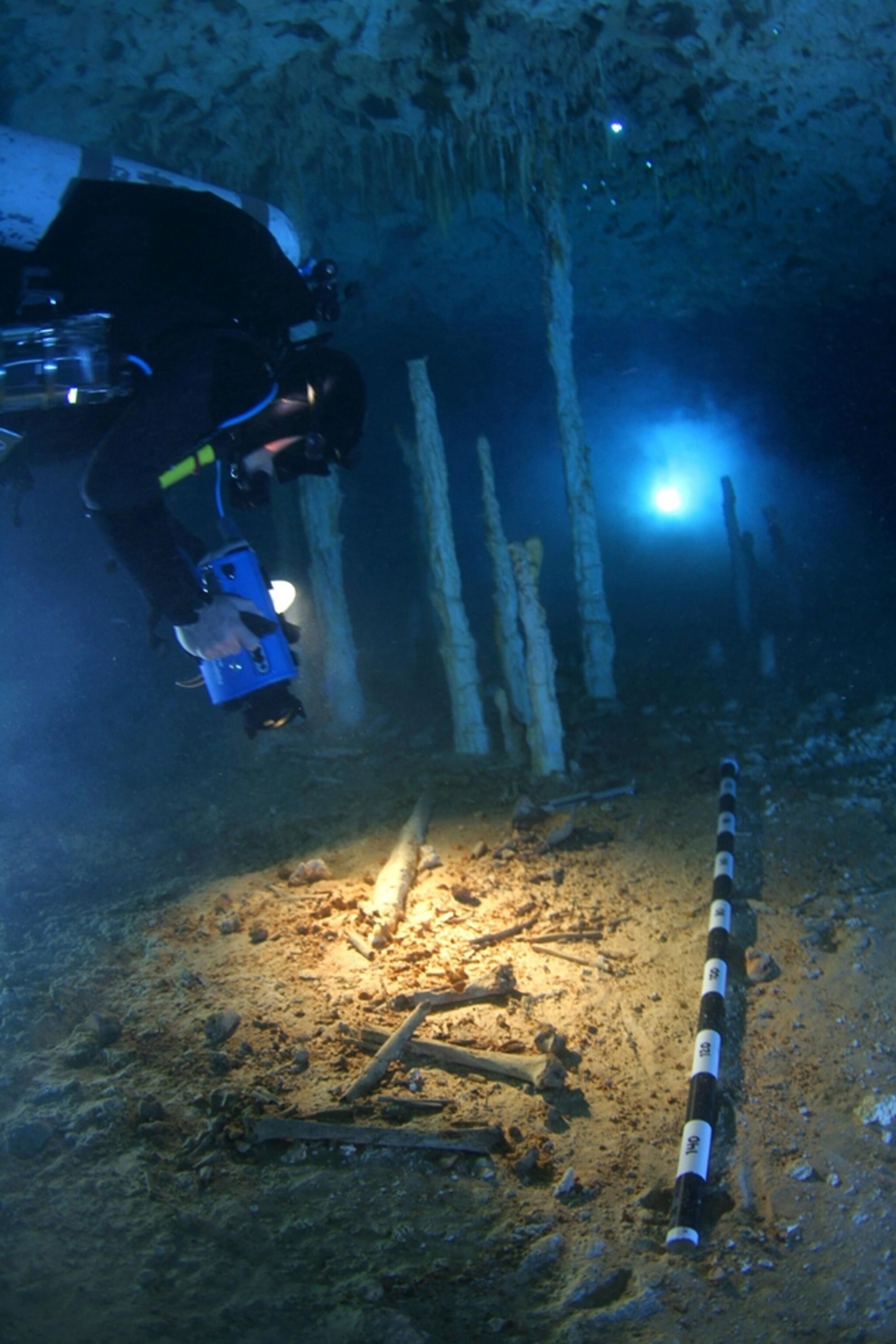 Pictures: Undersea Cave Yields Prehistoric Skeleton
