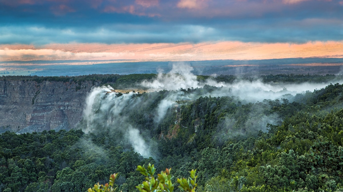 National parks are being overrun by invasive species | National Geographic