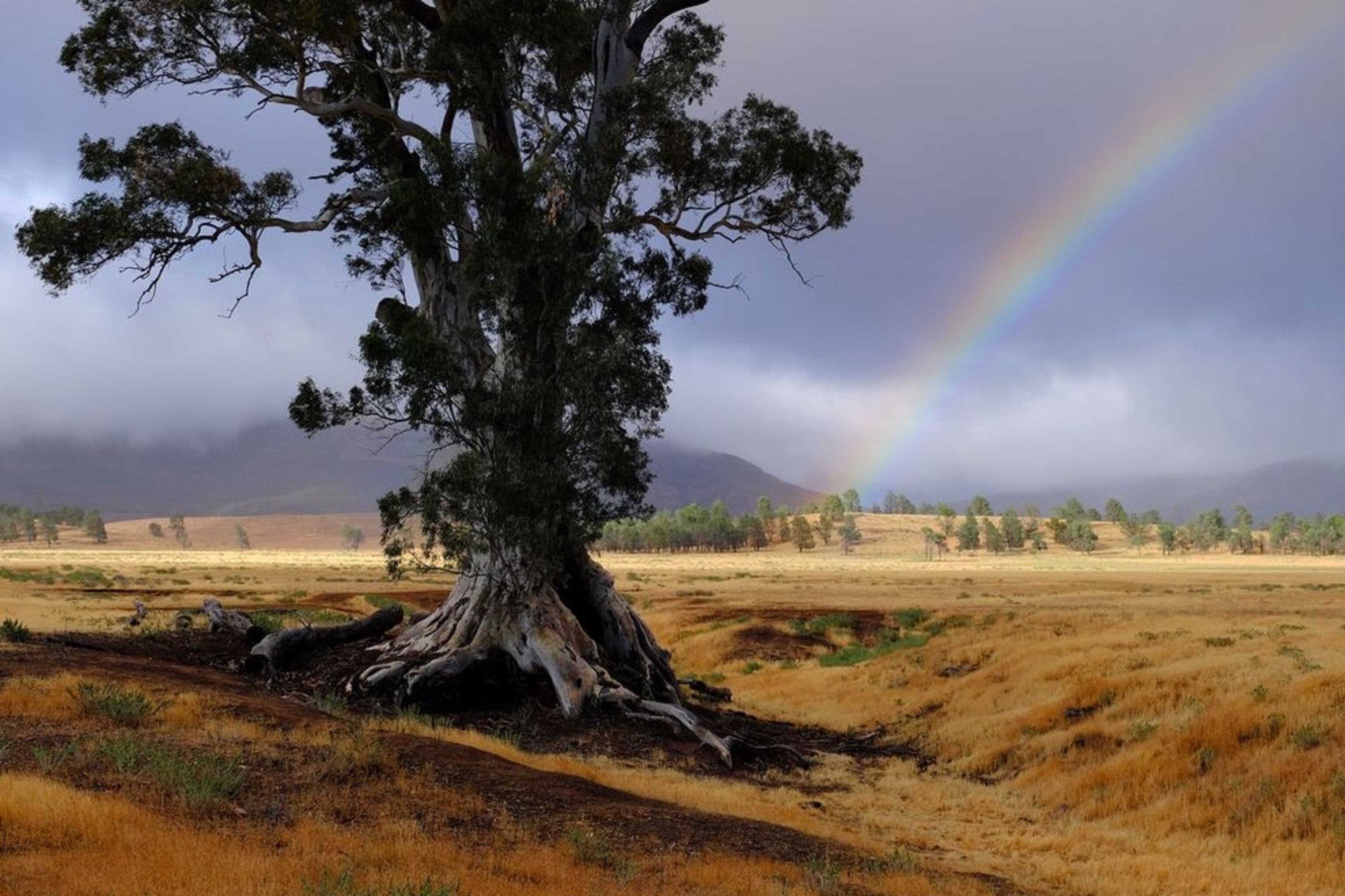 Photos: Life in South Australia’s Outback -- National Geographic Travel