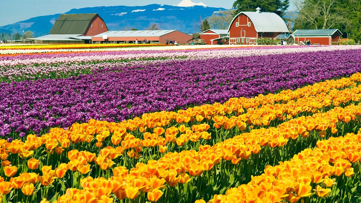 Best Spring Trips 2016 -- National Geographic | National Geographic