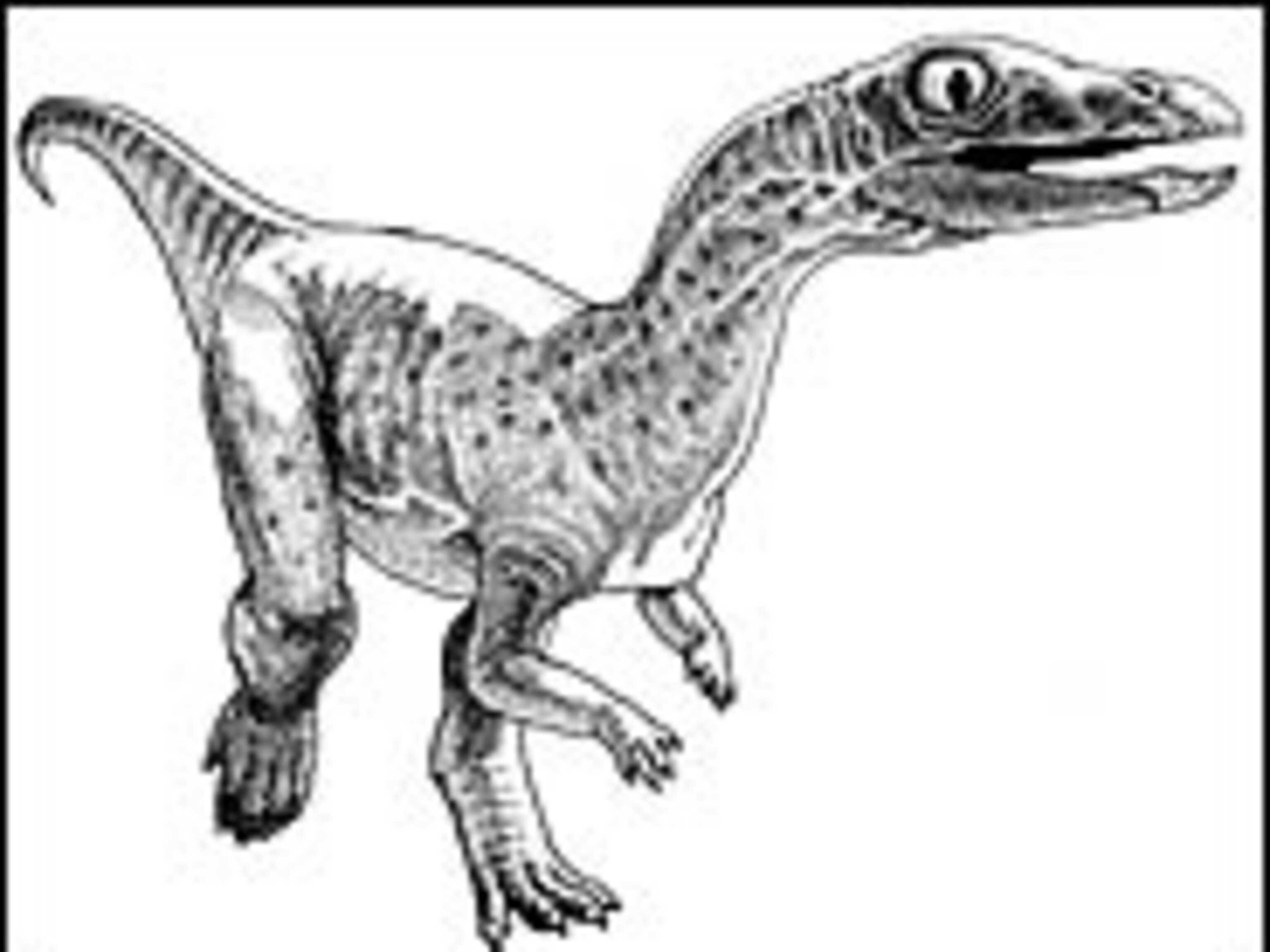 Plagiarizing Dinosaurs