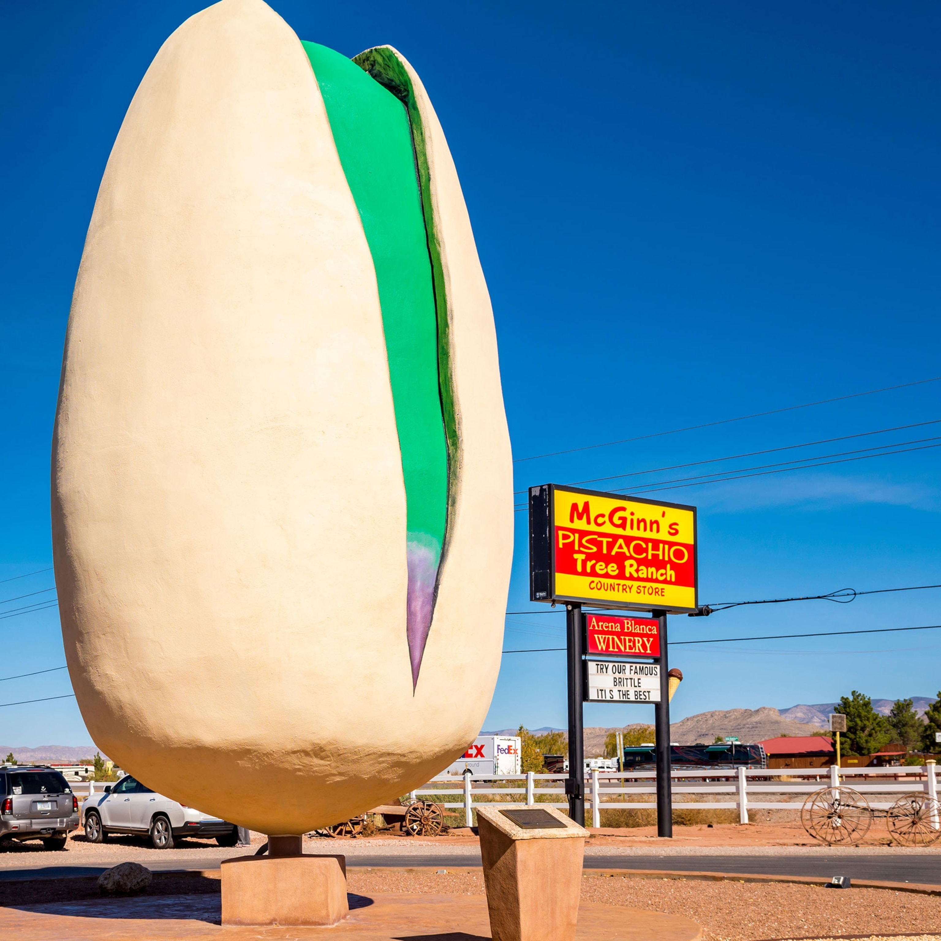 The world's largest pistachio and other giant food