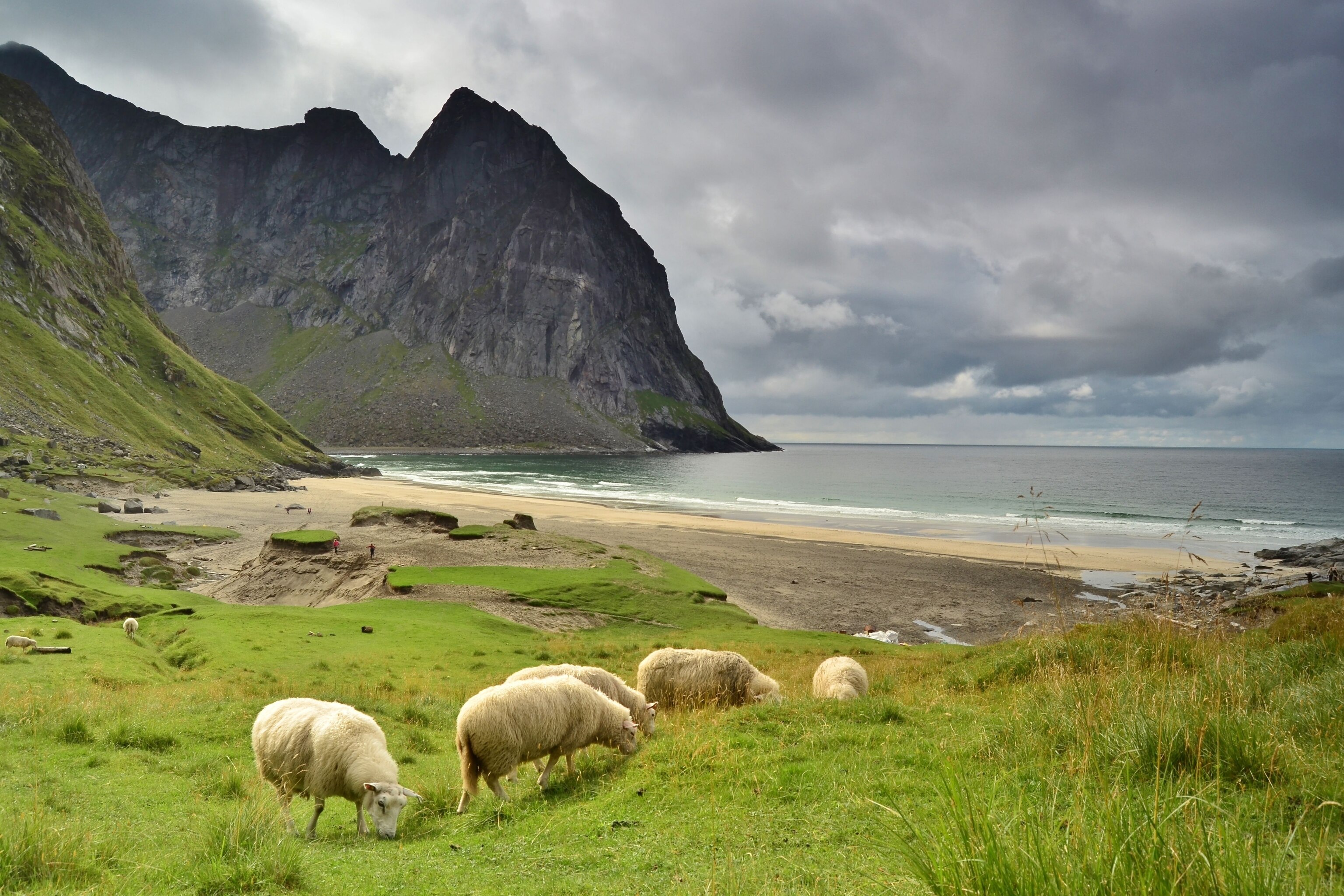 Your Norway Pictures