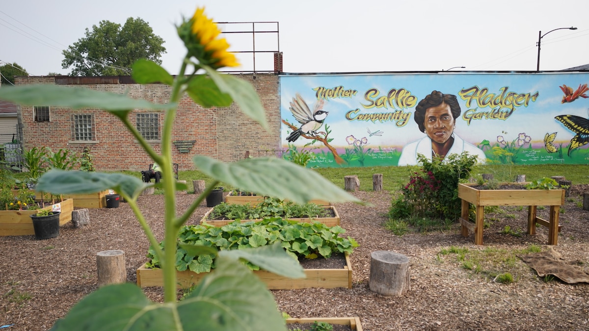 Grassroots efforts take on ‘food apartheid’ in Chicago’s South Side ...