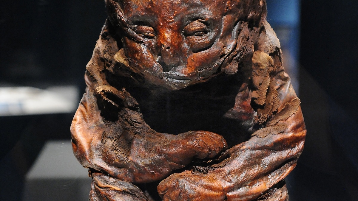 Mummies Show Symptoms, Offer Disease Clues | National Geographic