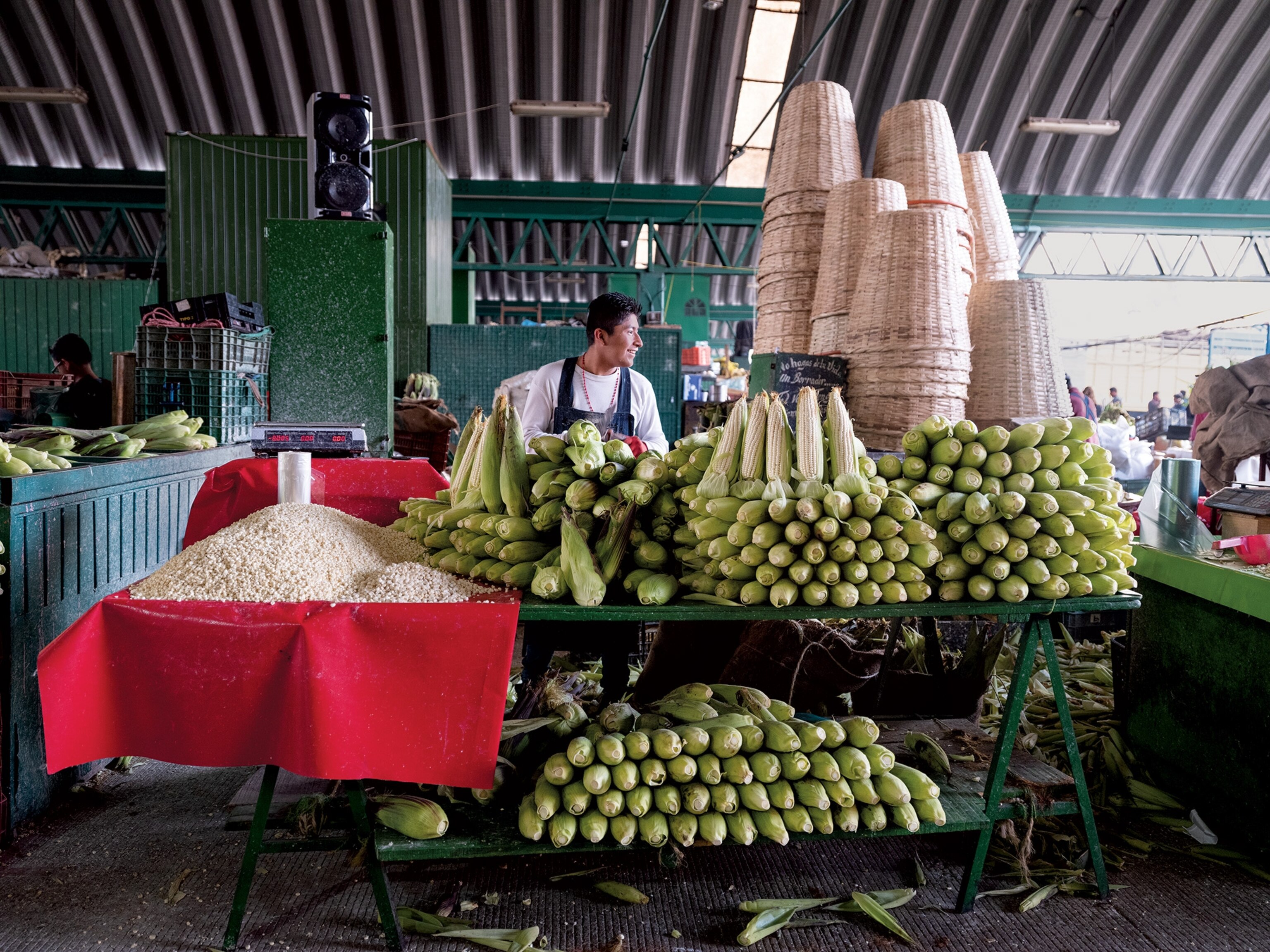 Discovering the best corn tortillas in Mexico City