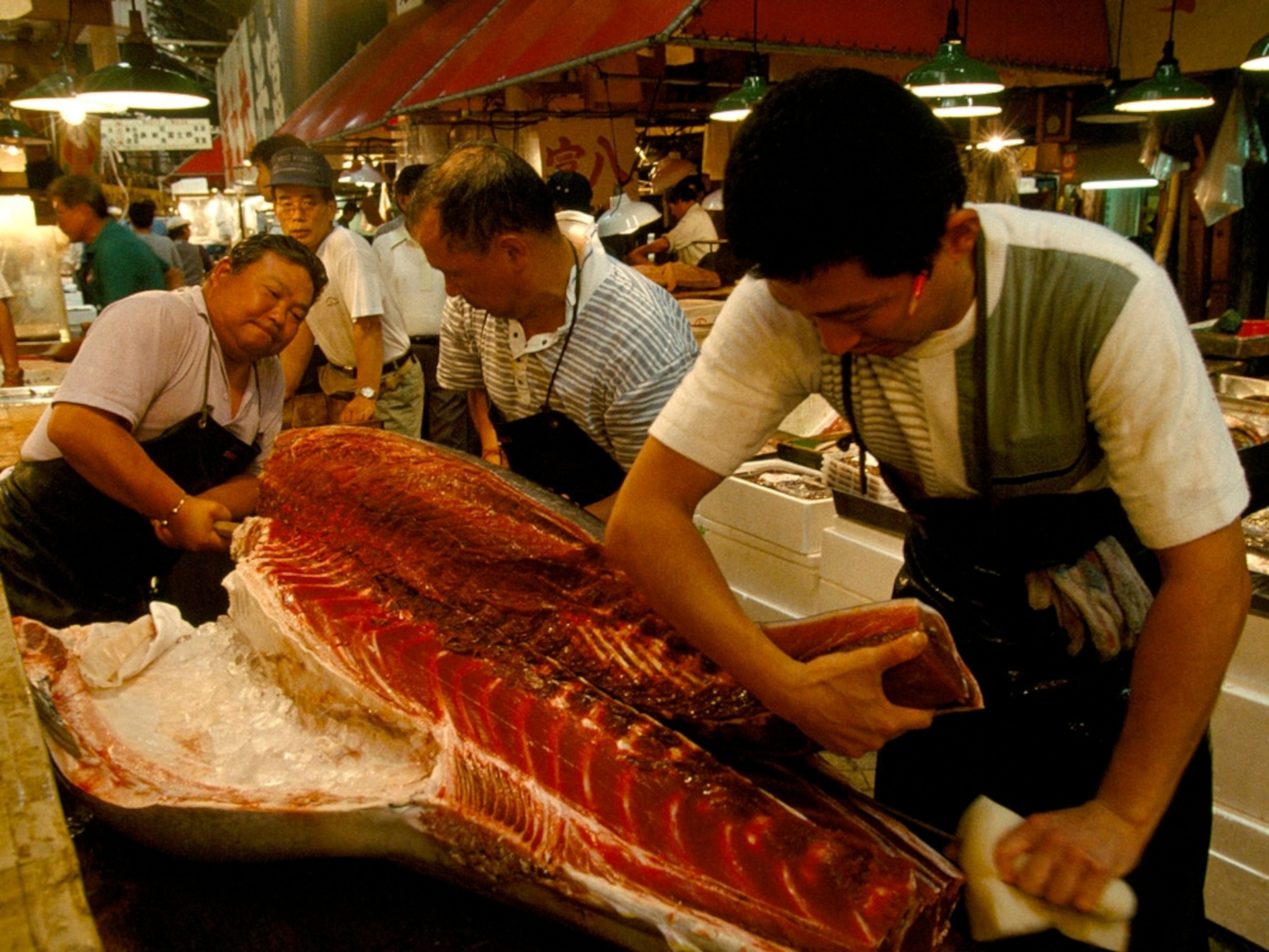 Tokyo Fish Market Photos - National Geographic