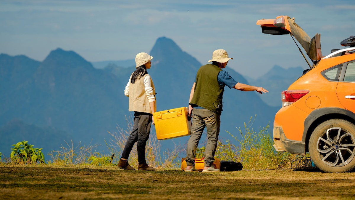 Chelsey Cook - Journalist Profile - Intelligent Relations